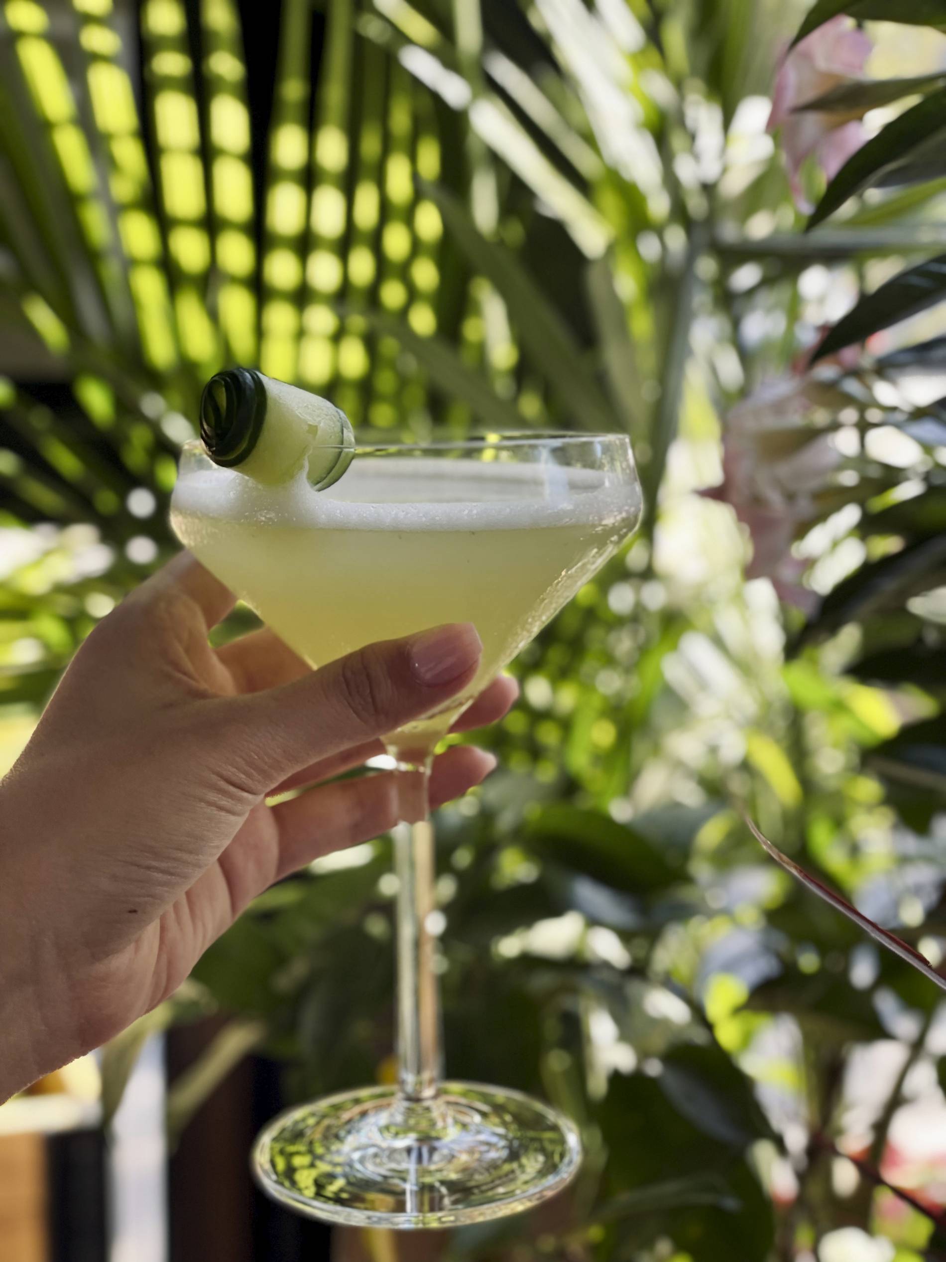 Boston's Best 9 Unique Martinis to Enjoy This Summer