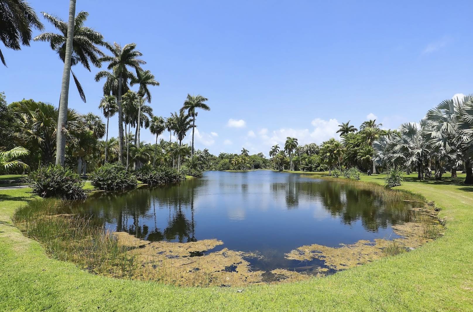 15 Best Attractions in Miami You'll Love to Explore