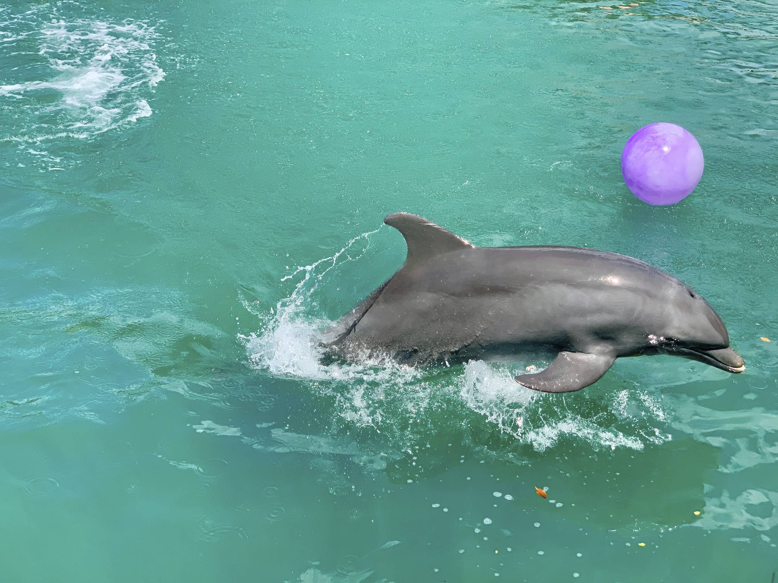 15 Best Attractions in Miami You'll Love to Explore