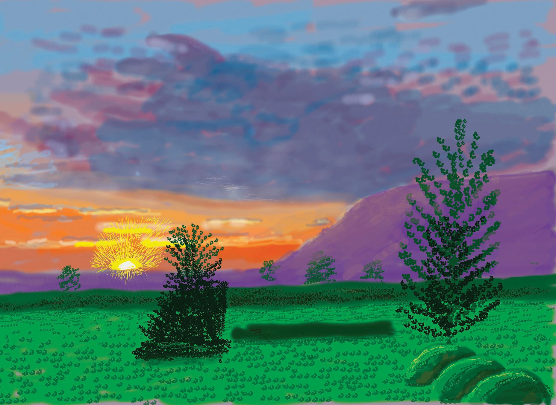 Hockney's iPad Art Debuts: See 116 Works at AIC