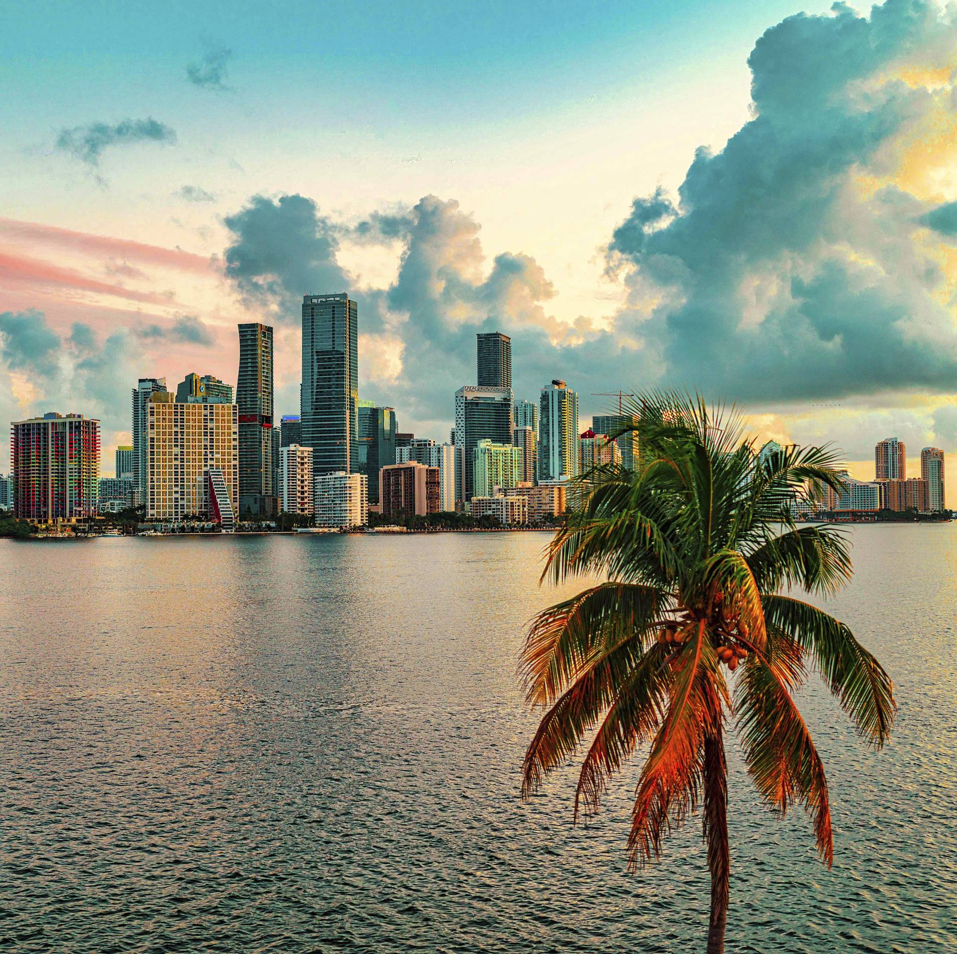 11 Fascinating Facts About Miami You Didn't Know