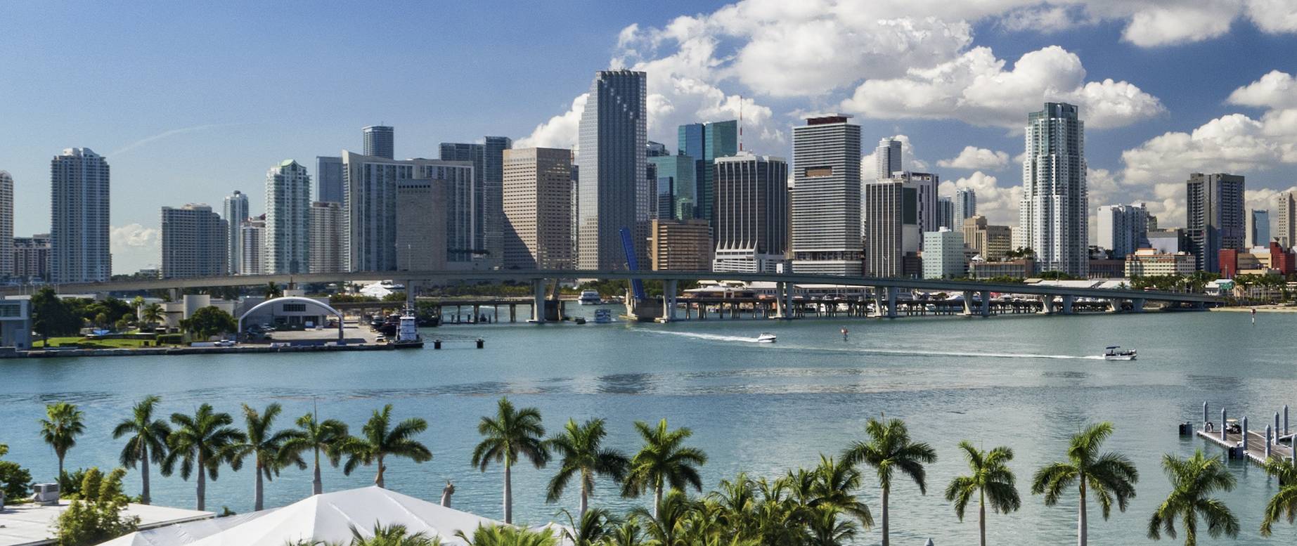 11 Fascinating Facts About Miami You Didn't Know