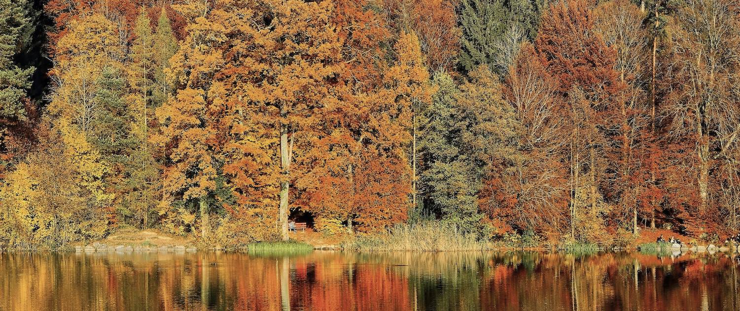 Fall Getaways from Miami: 6 East Coast Destinations