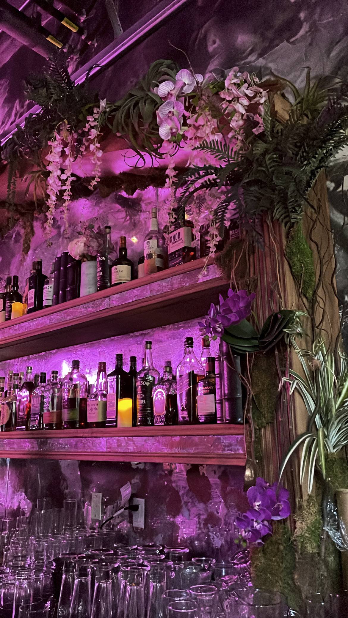 Explore Brickell: Miami's Vibrant Neighborhood Guide