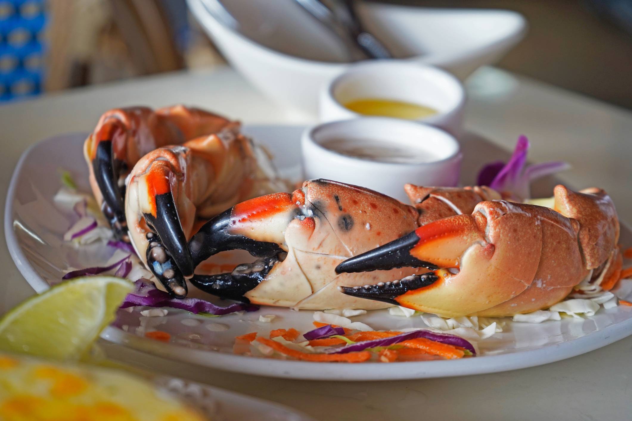 10 Must-Try Dishes in Miami's Vibrant Food Scene