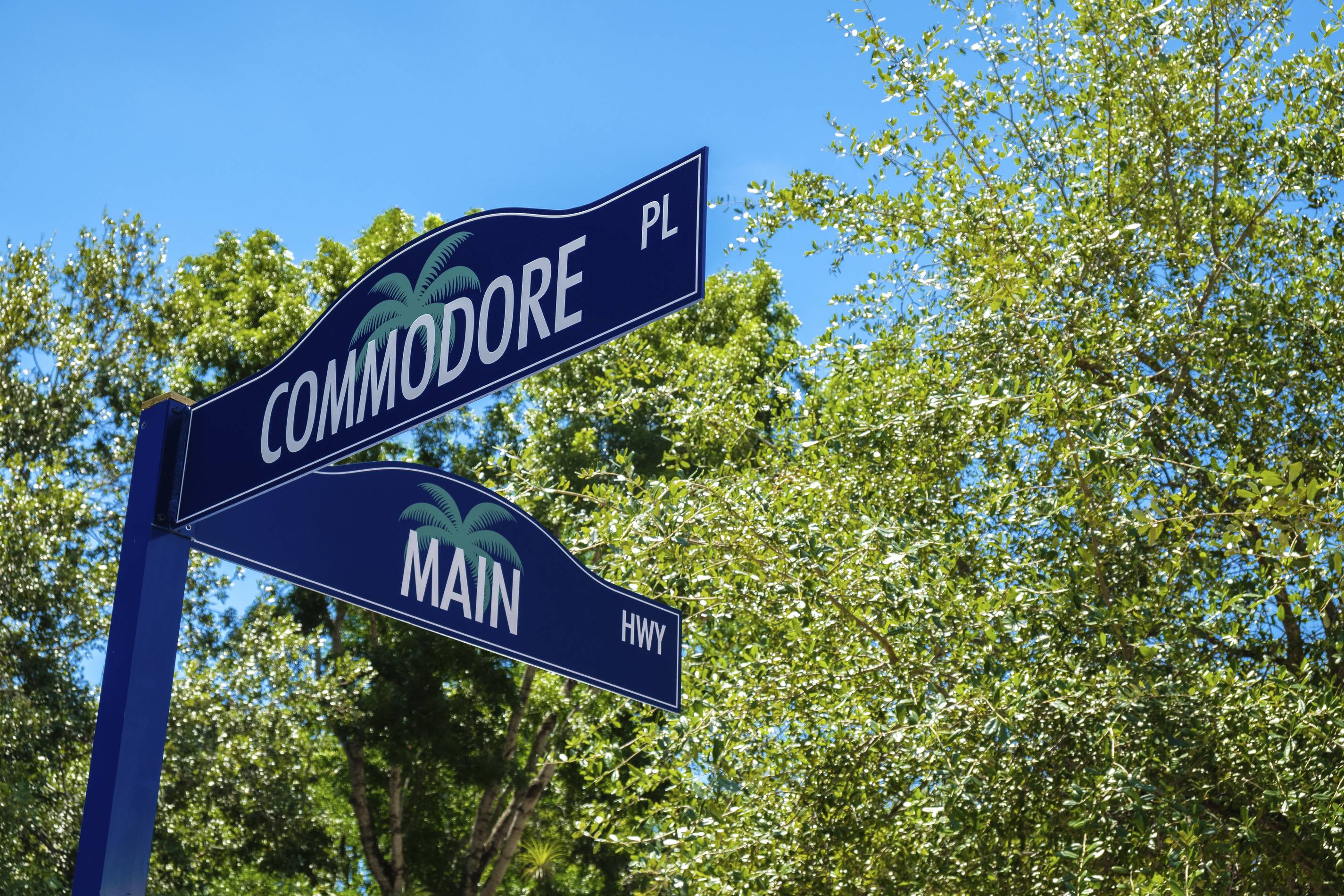 Scenic Drives in Miami: Explore Stunning Routes