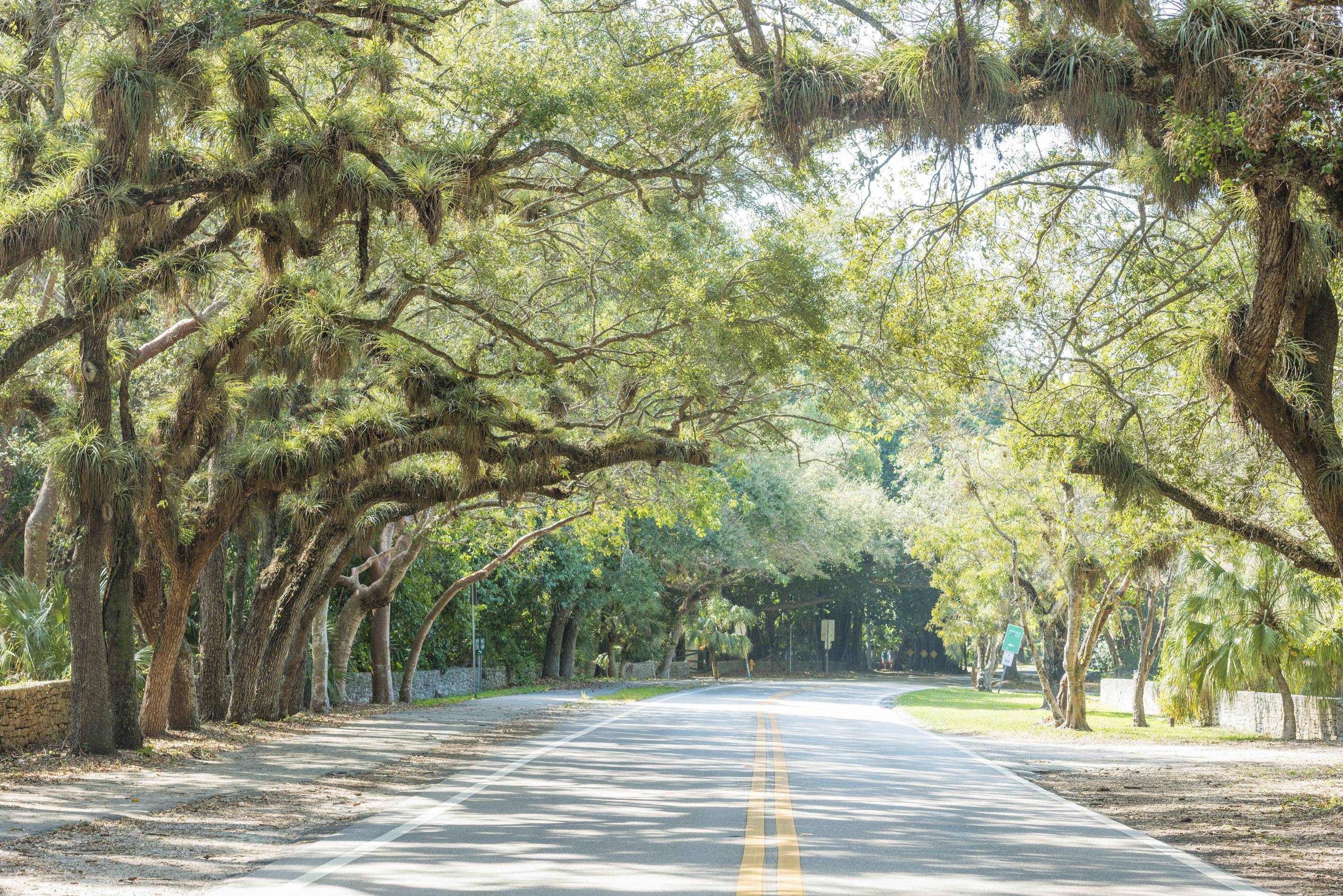 Scenic Drives in Miami: Explore Stunning Routes