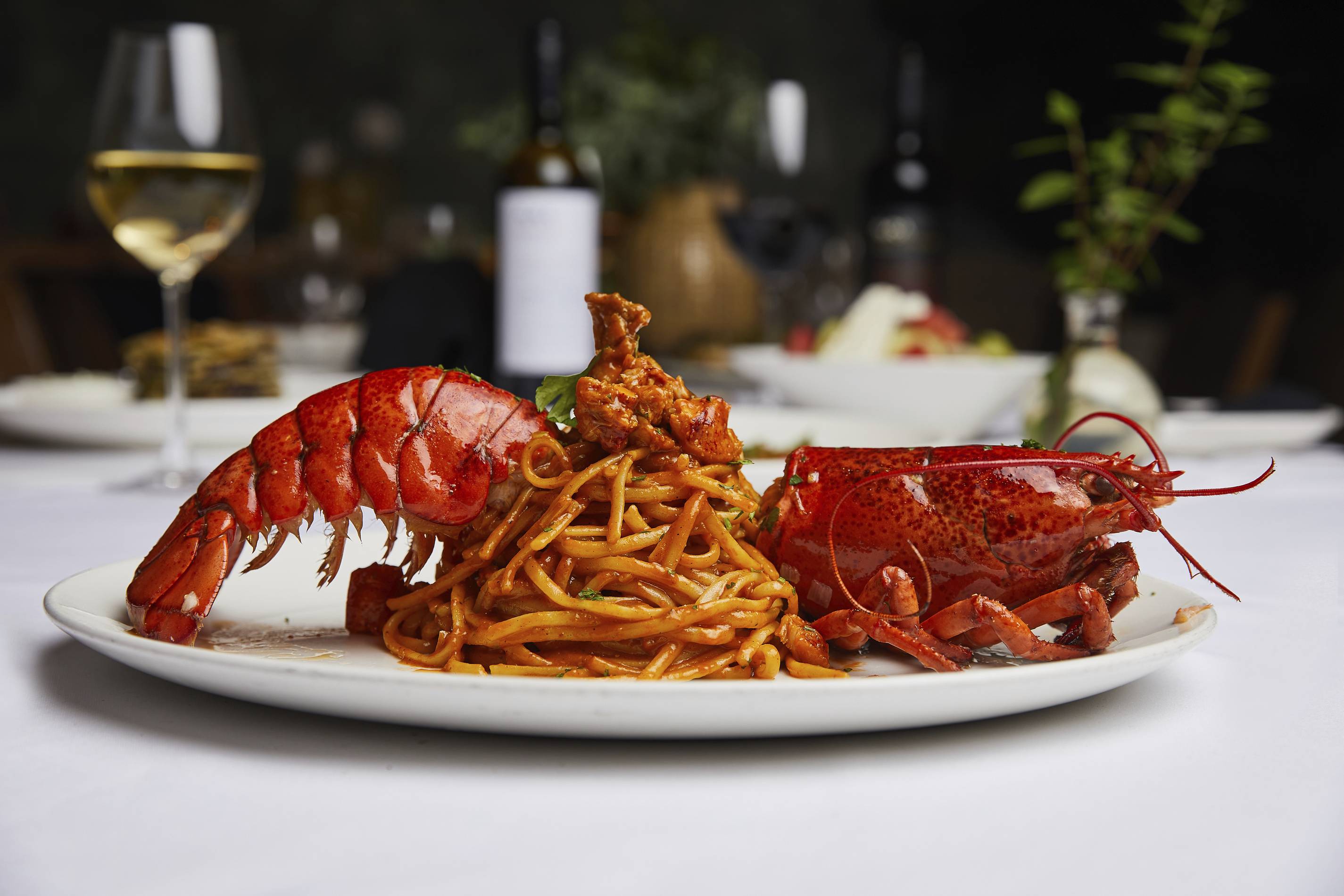 New Mediterranean Restaurants in Miami: A Culinary Journey