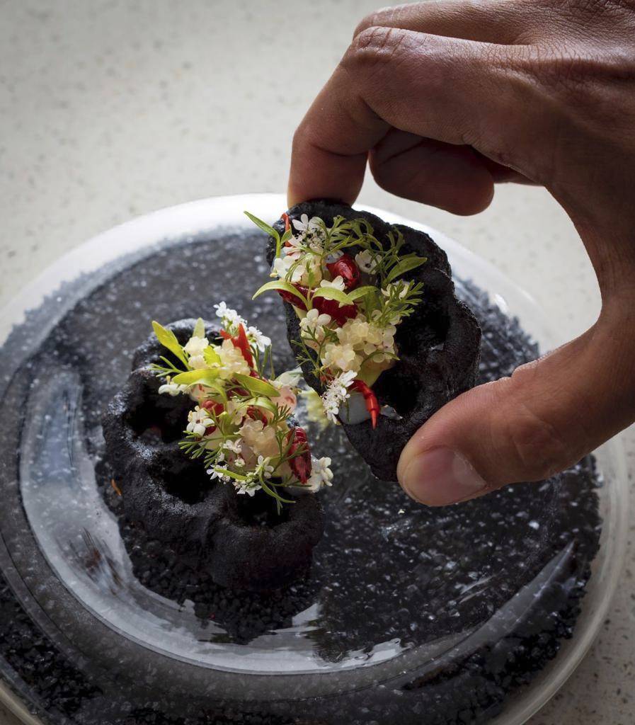 tán: A Coastal Tulum-Inspired Restaurant in NYC