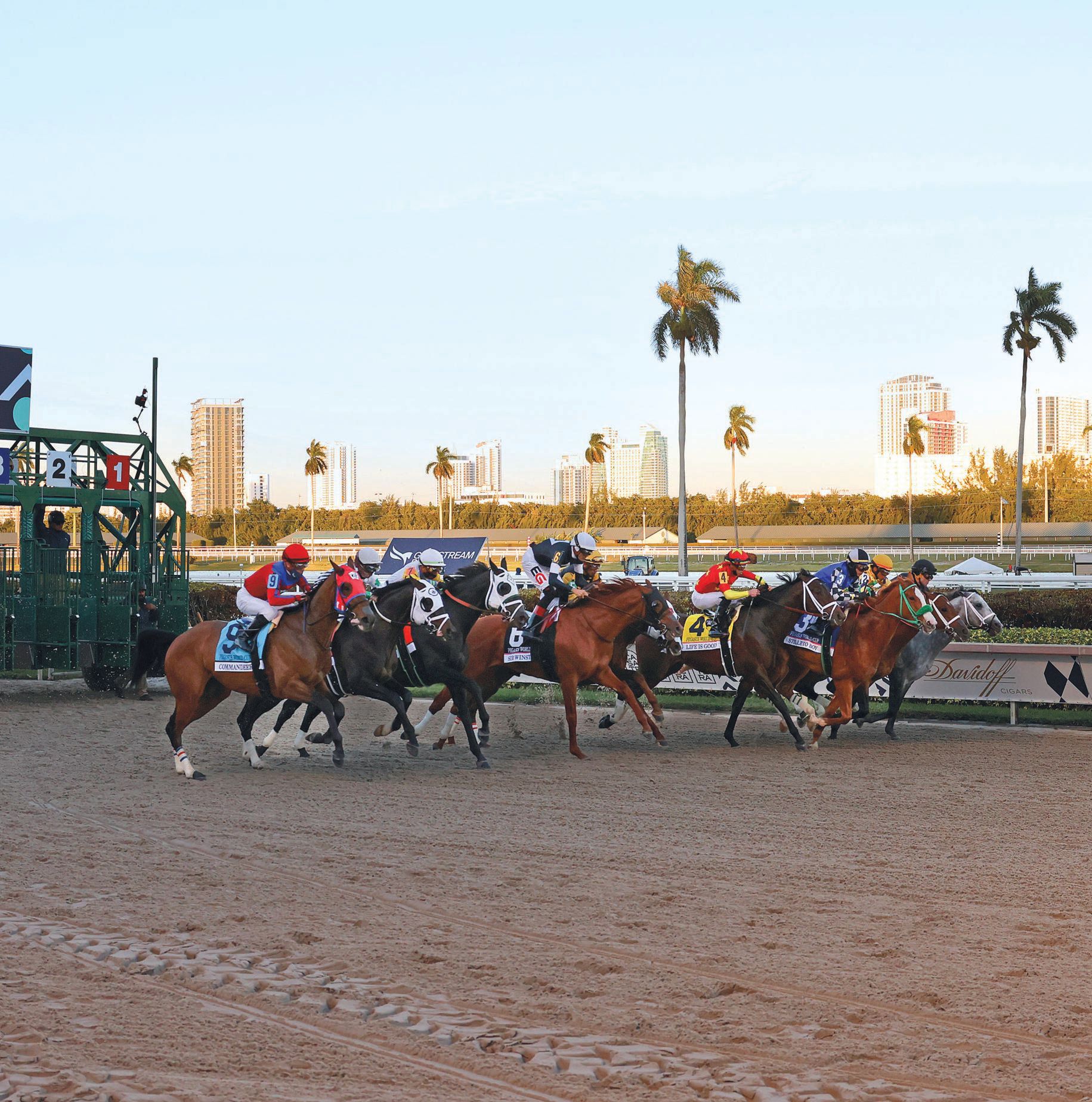 Pegasus World Cup 2023: A Luxurious Racing Experience