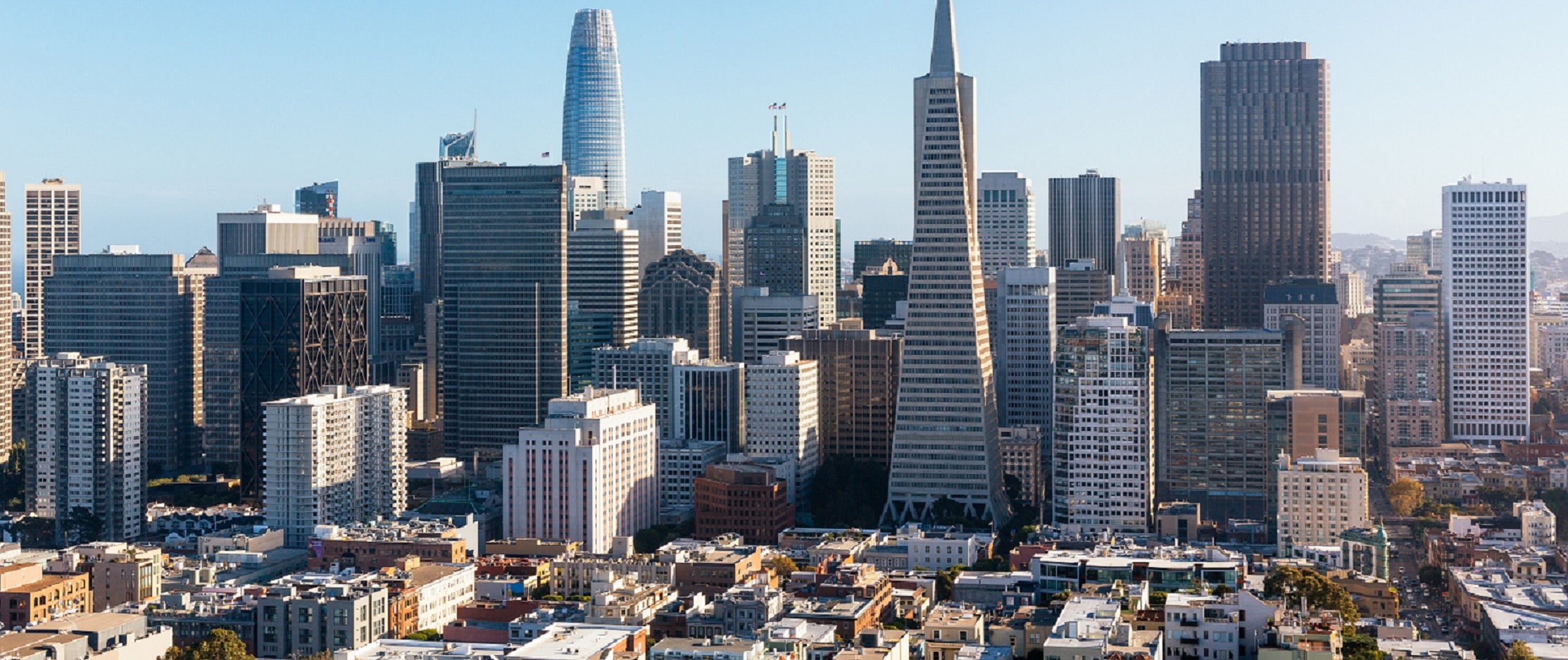 Explore San Francisco's Iconic Architectural Styles