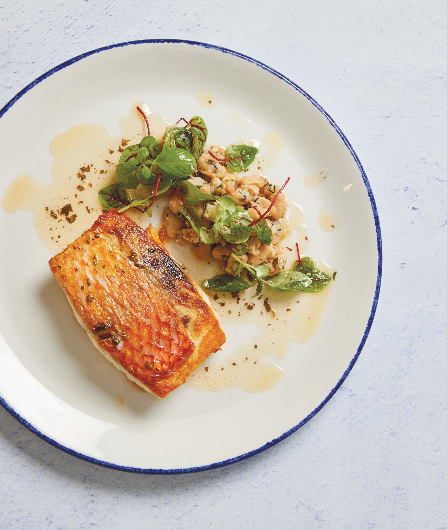 Noma Beach: Donatella Arpaia's Waterfront Dining in Gables