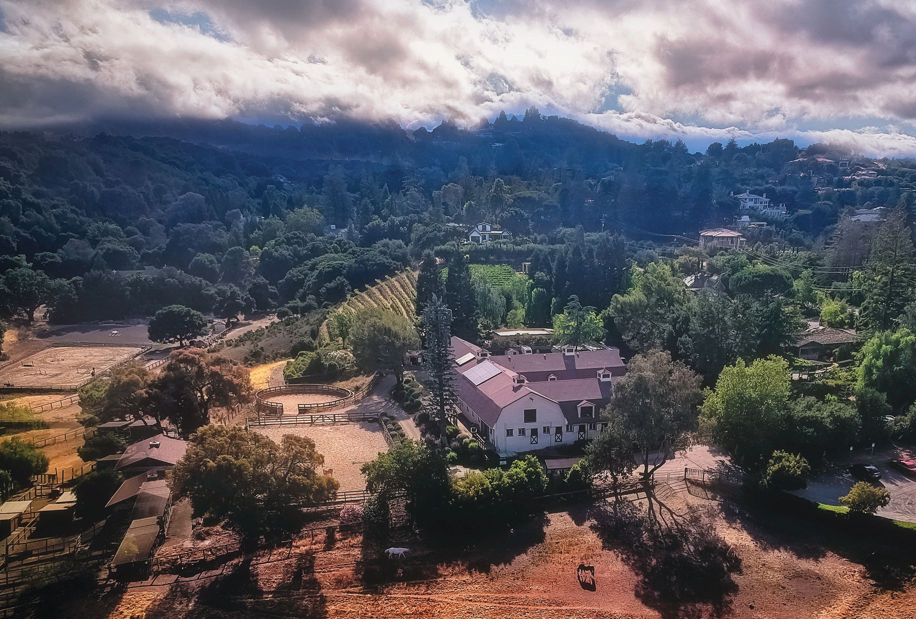 Explore Los Altos: A Culinary & Boutique Paradise