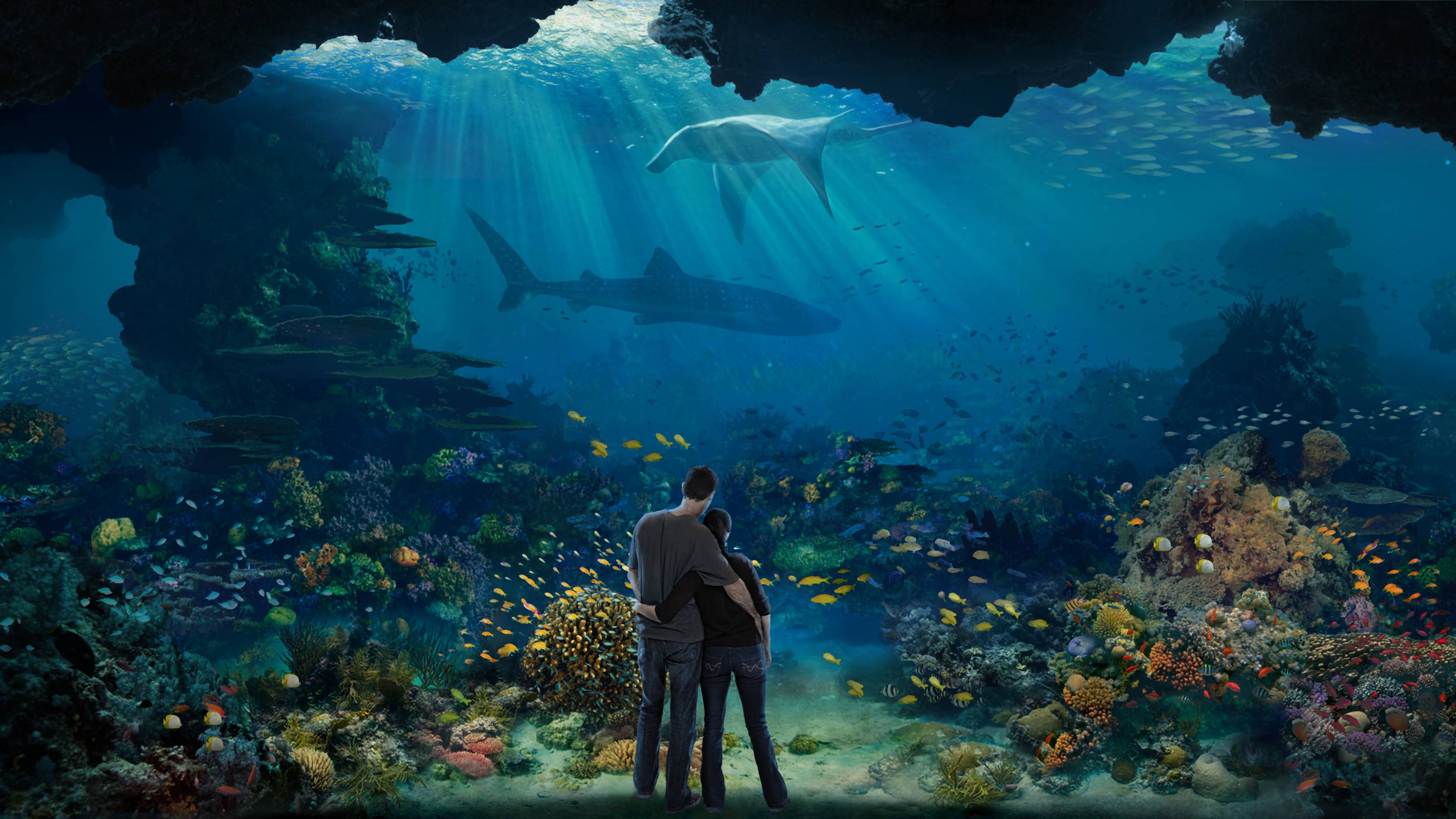 Immersive Underwater Dining Experience in Miami
