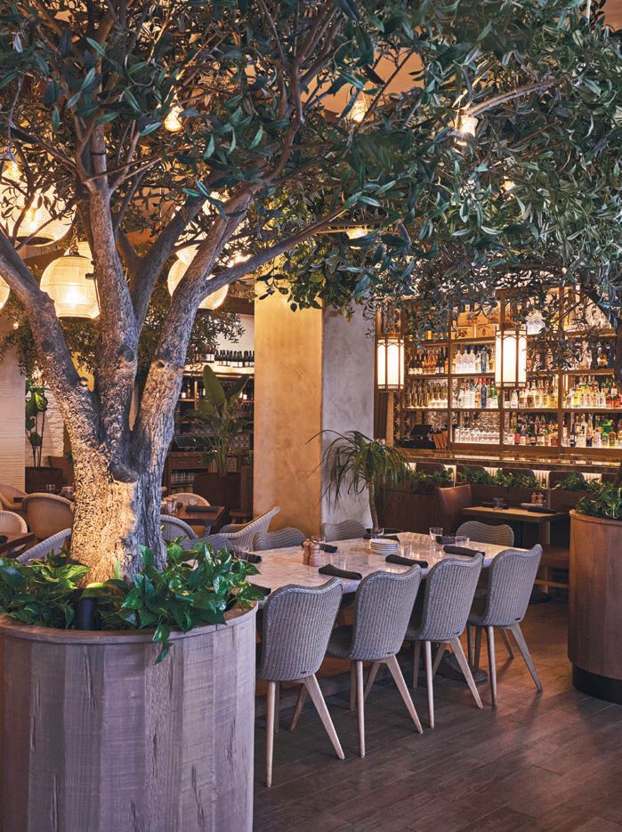 Aba Restaurant Opens in Bal Harbour: Mediterranean Delight