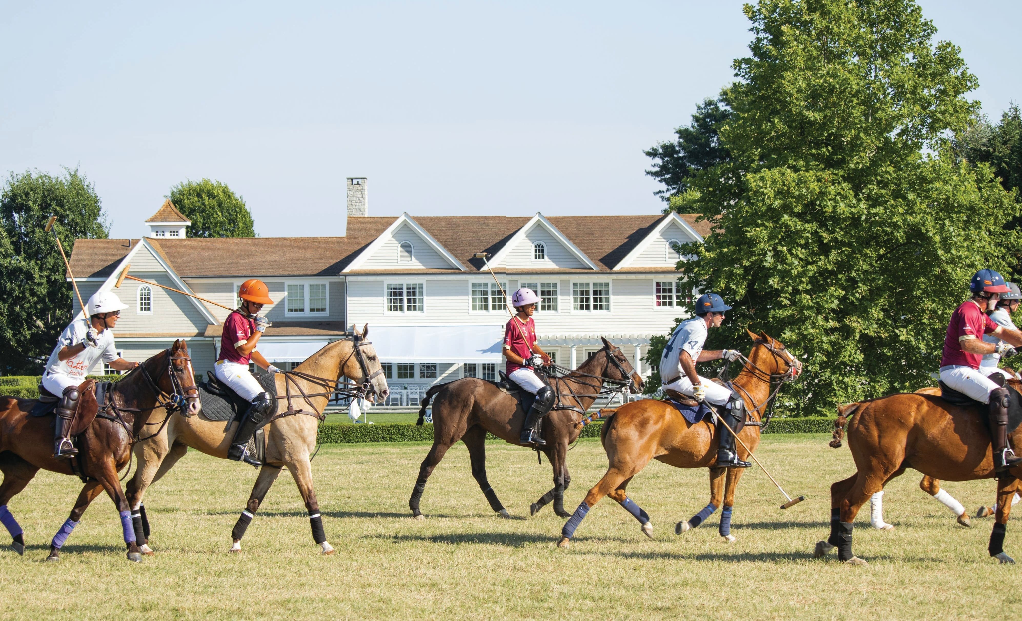Explore Blue Carreon's Equestrian Life in the Hamptons