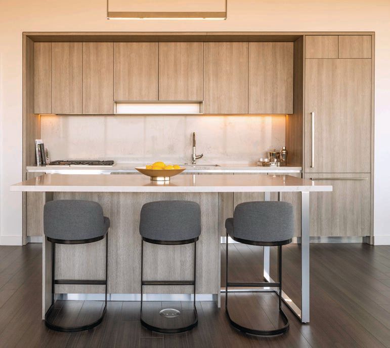 Experience Luxe Living at NEMA Chicago's Skyline Residences