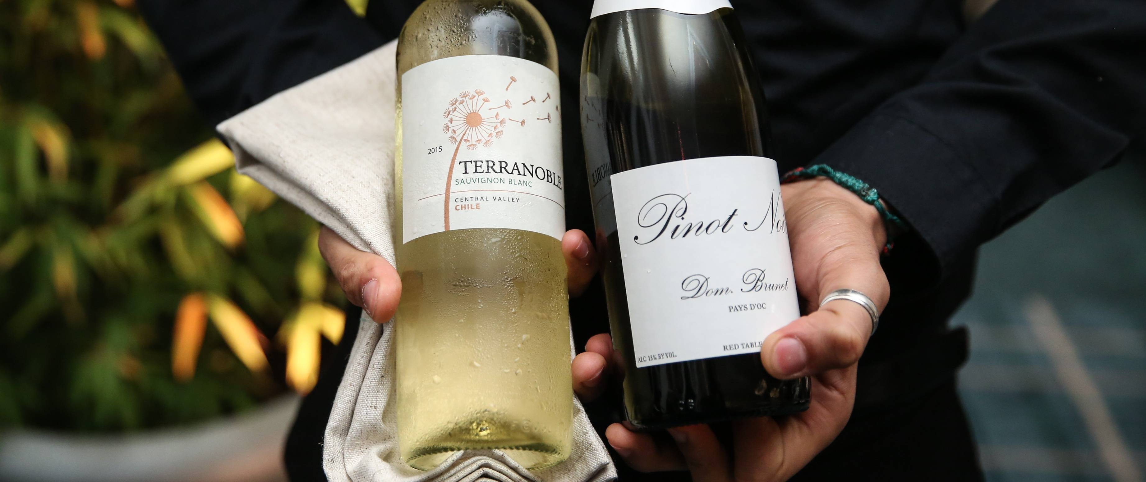 Best Wine Experiences in DC: Vineyards & Wine Bars