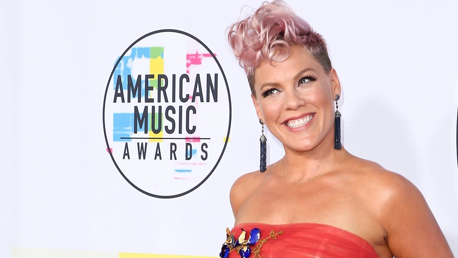 Pink's Sofi Stadium Show: Parking, Setlist & More Tips