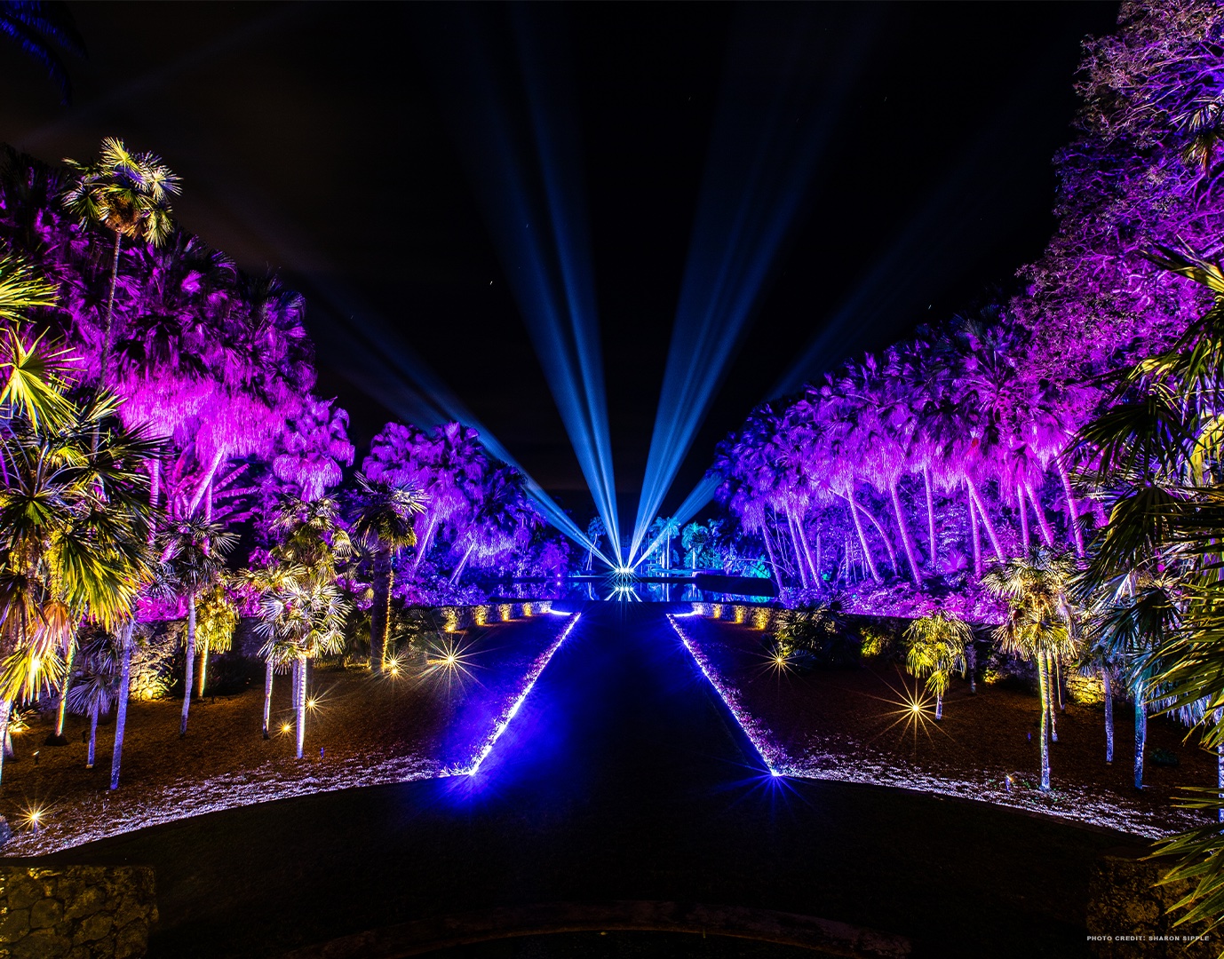 NightGarden Returns: Enchanted Light Experience in Miami
