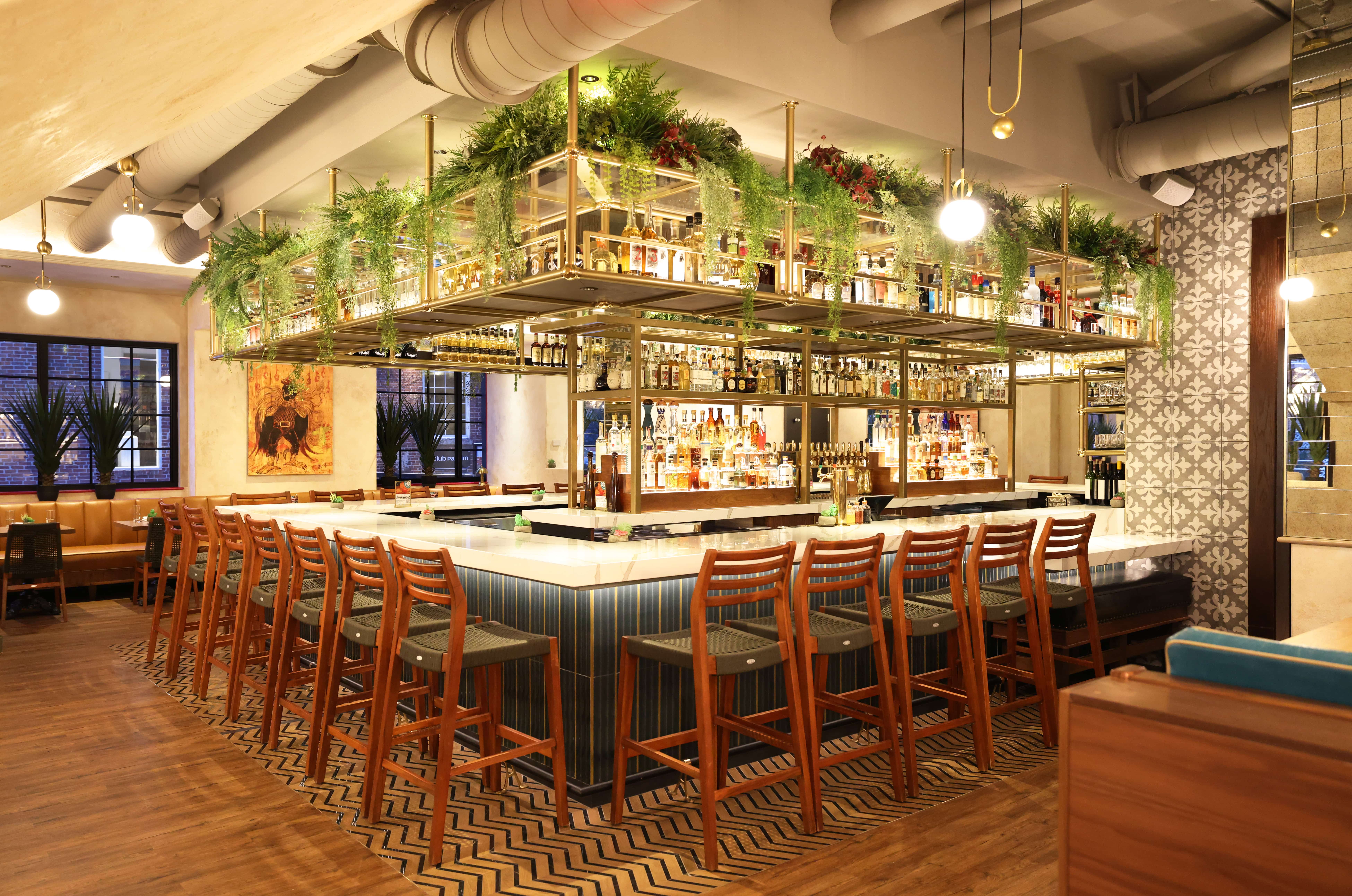 Harvard Square: Ultimate Guide to Dining, Shopping, & Fun