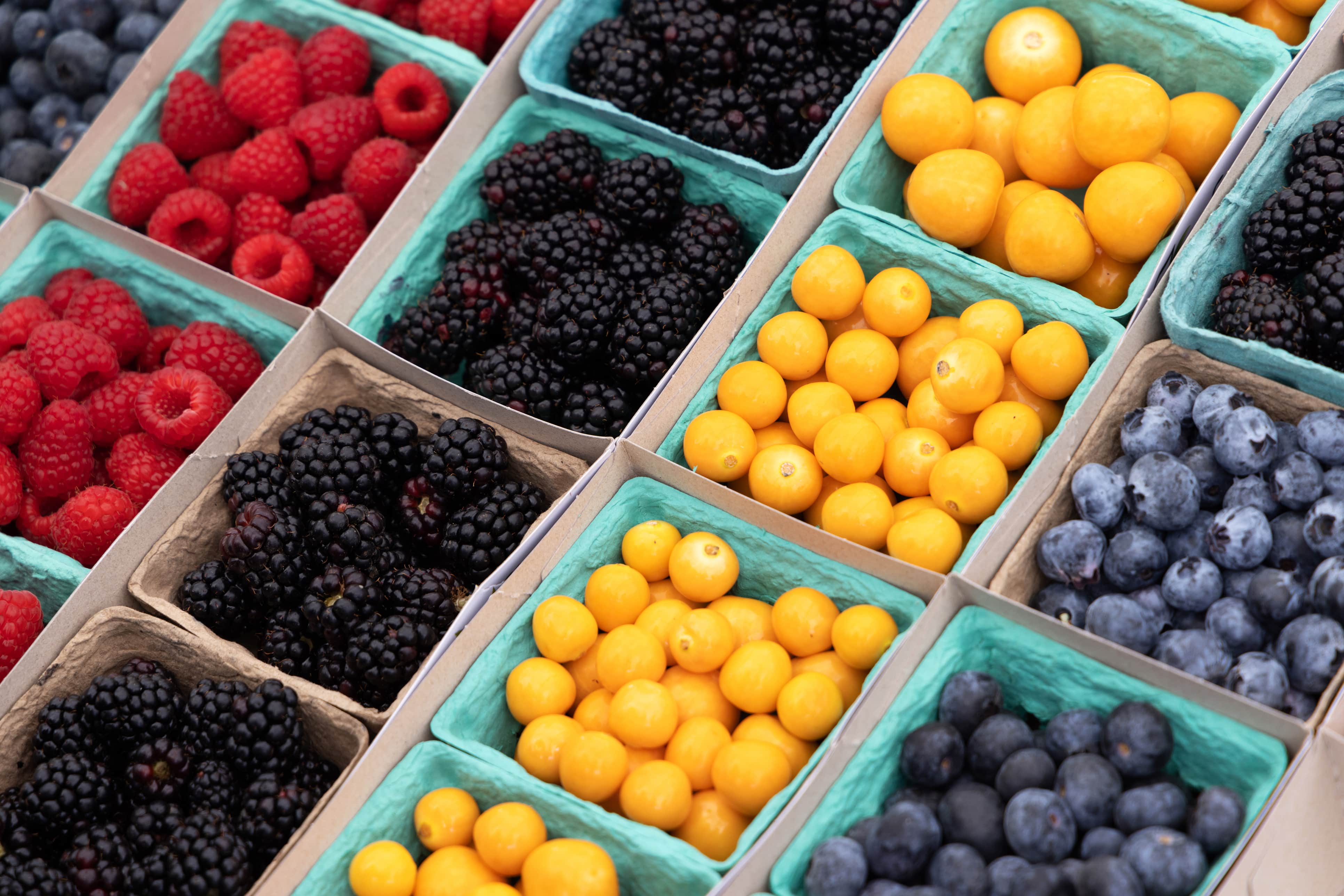 Explore Atlanta's Best Farmers Markets for Fresh Finds