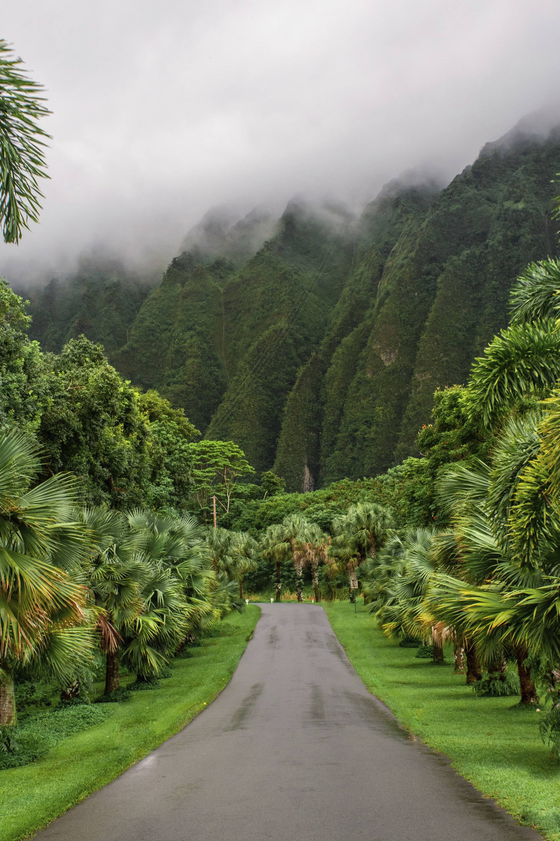 Explore the Top 5 Parks in Honolulu for Nature Lovers