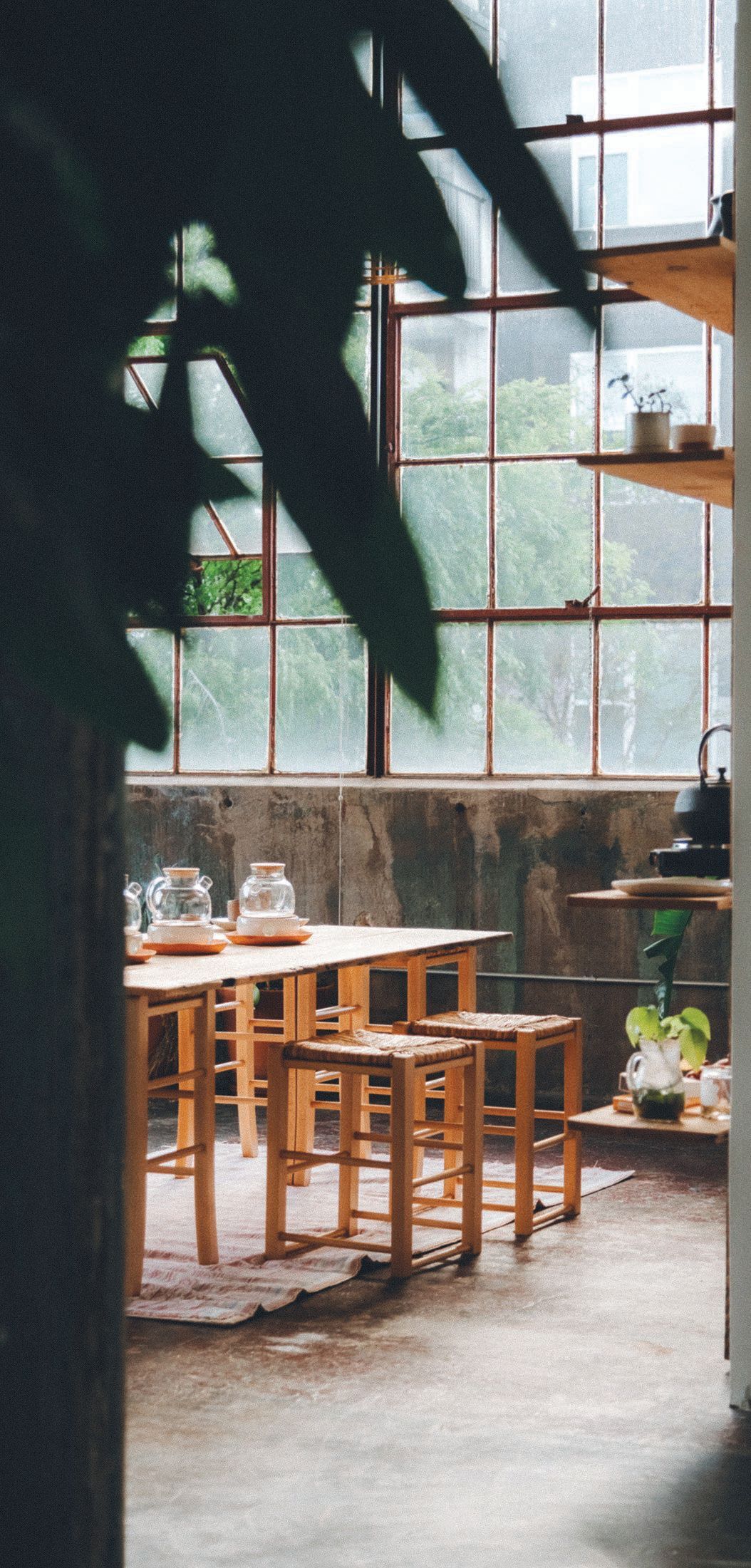 Muse Tea House: Atlanta's Unique Wellness Experience