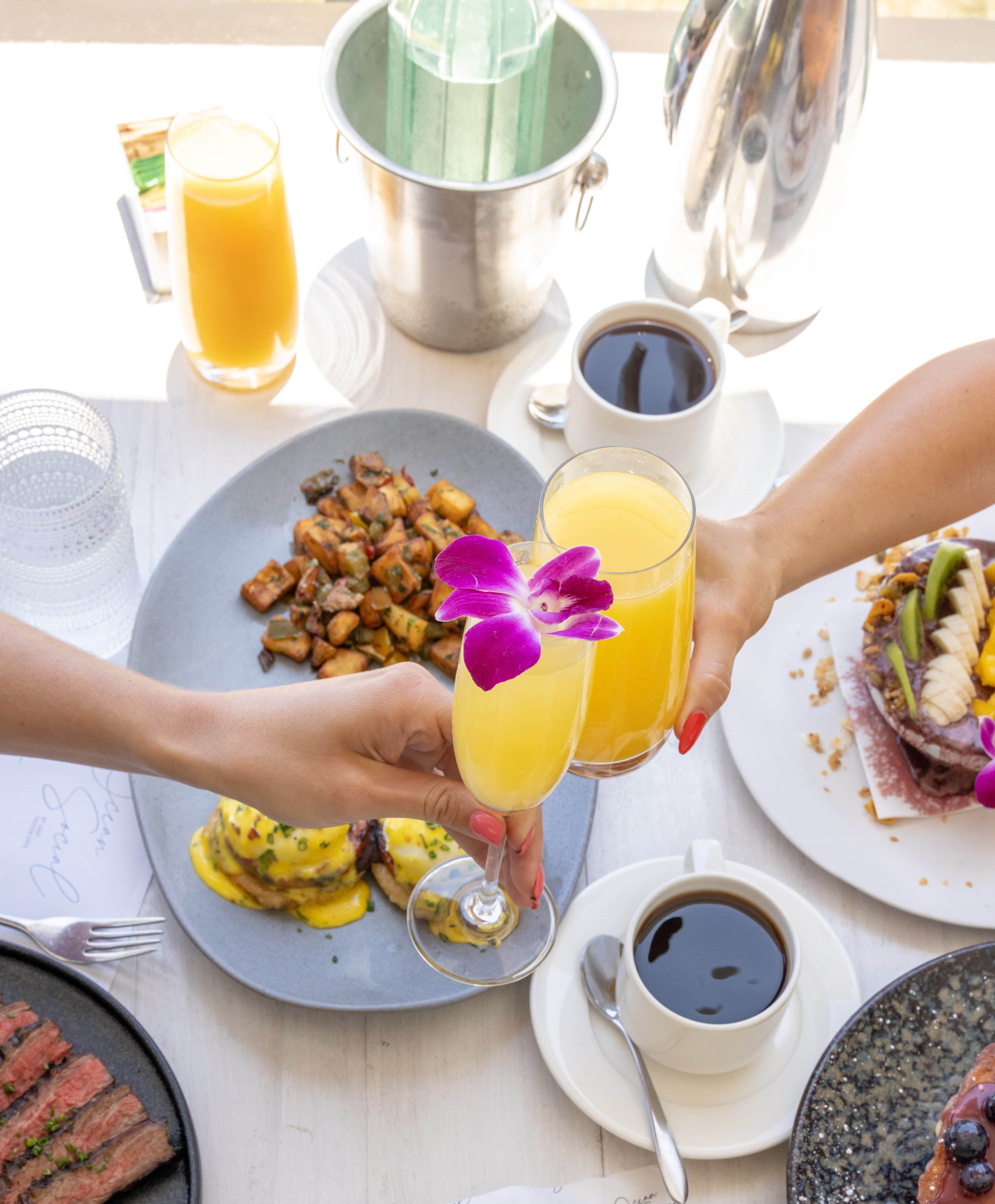 Miami's Best New Brunch Spots: Summer Delights Await!