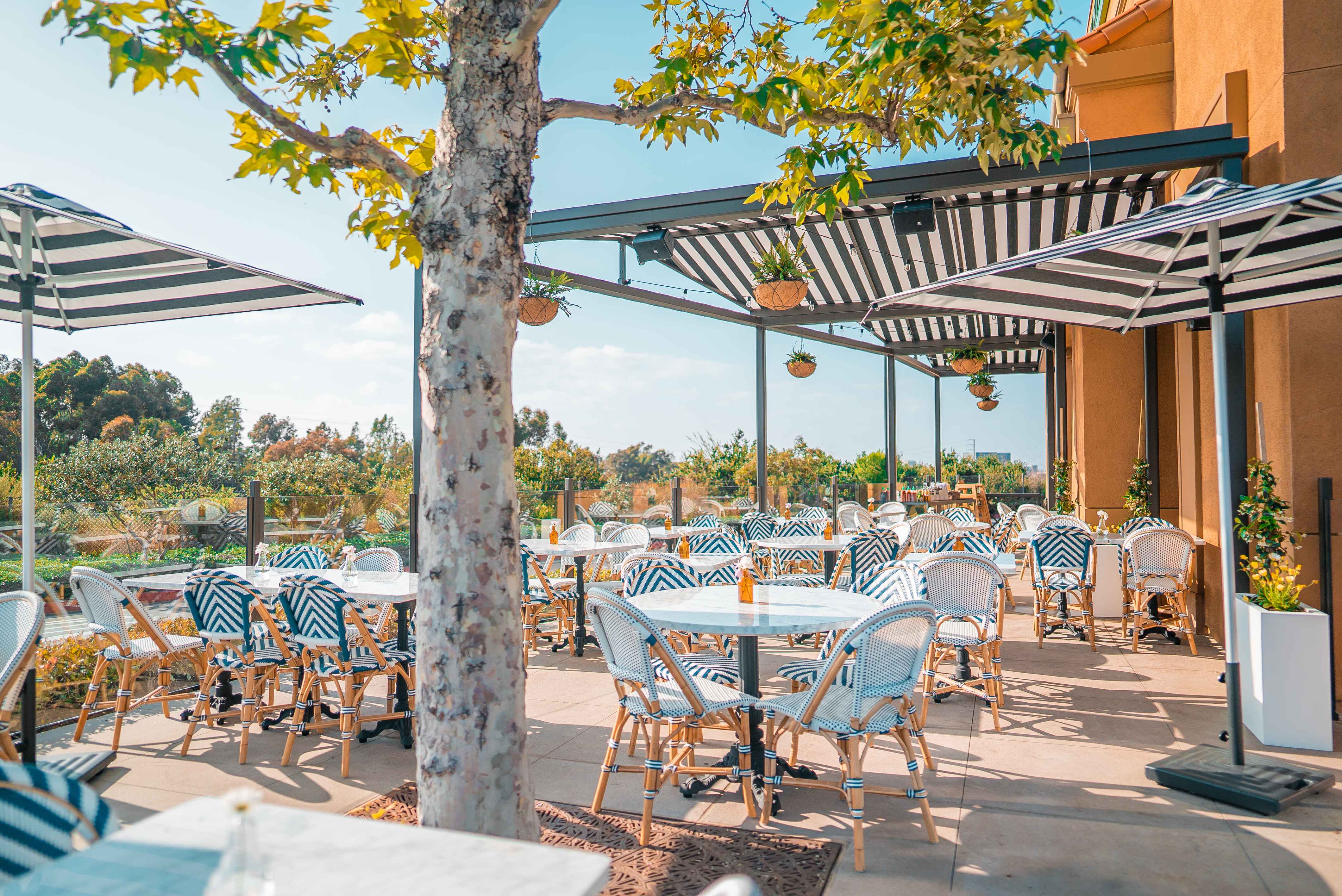 Top Plant-Based Restaurants in Orange County: A Vegan's Guide