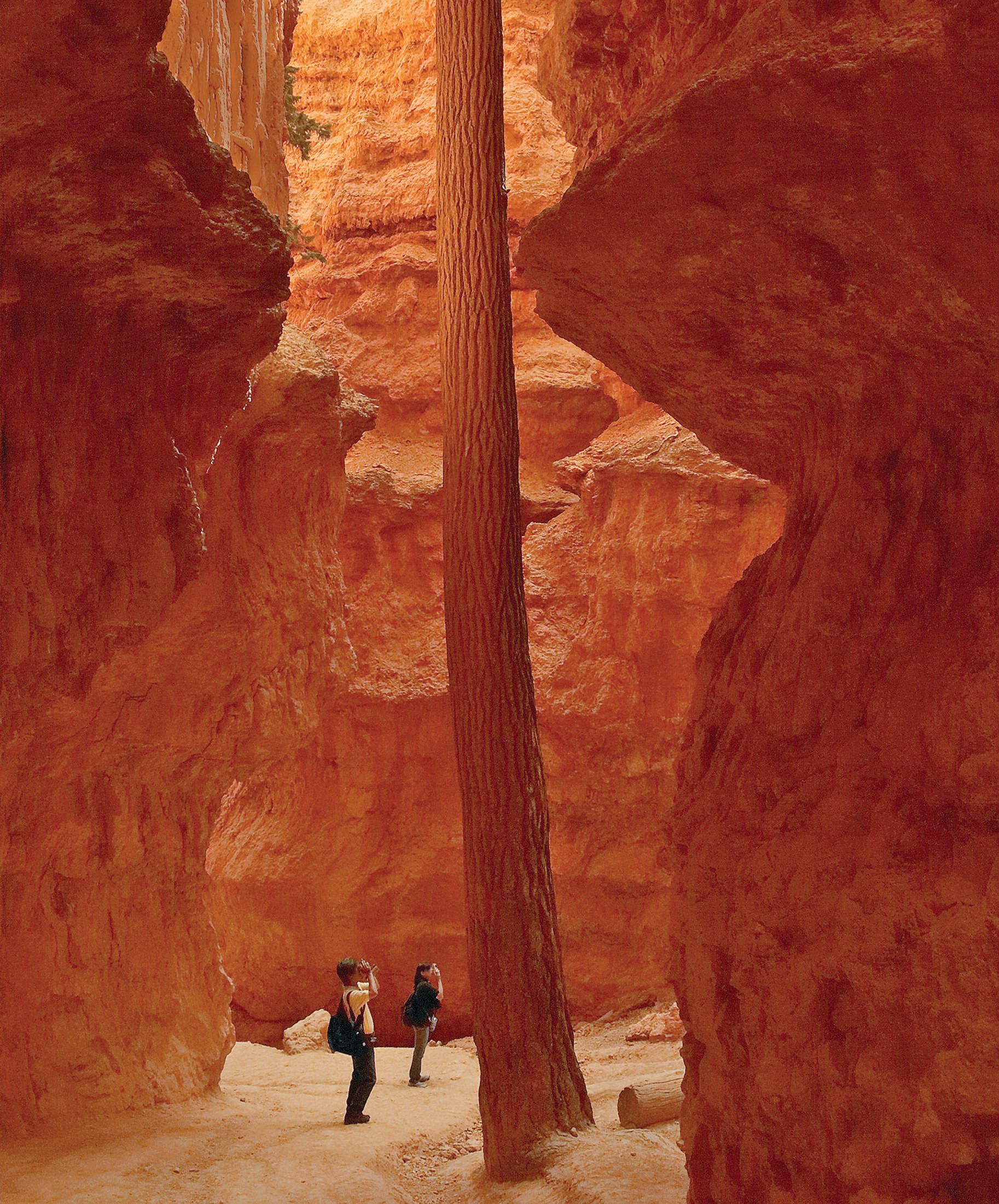 Adventure and Relaxation in Southern Utah's National Parks