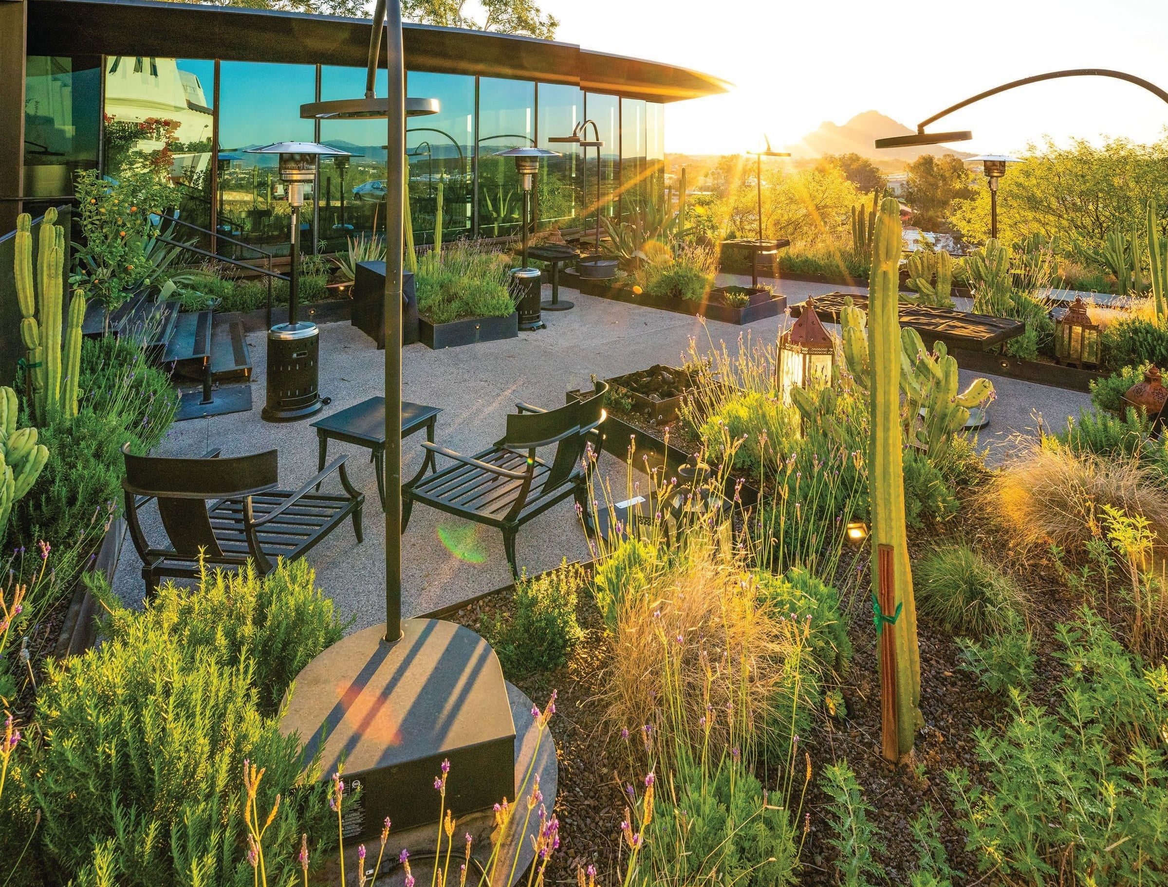 Transform Your Landscape with Berghoff Design Group
