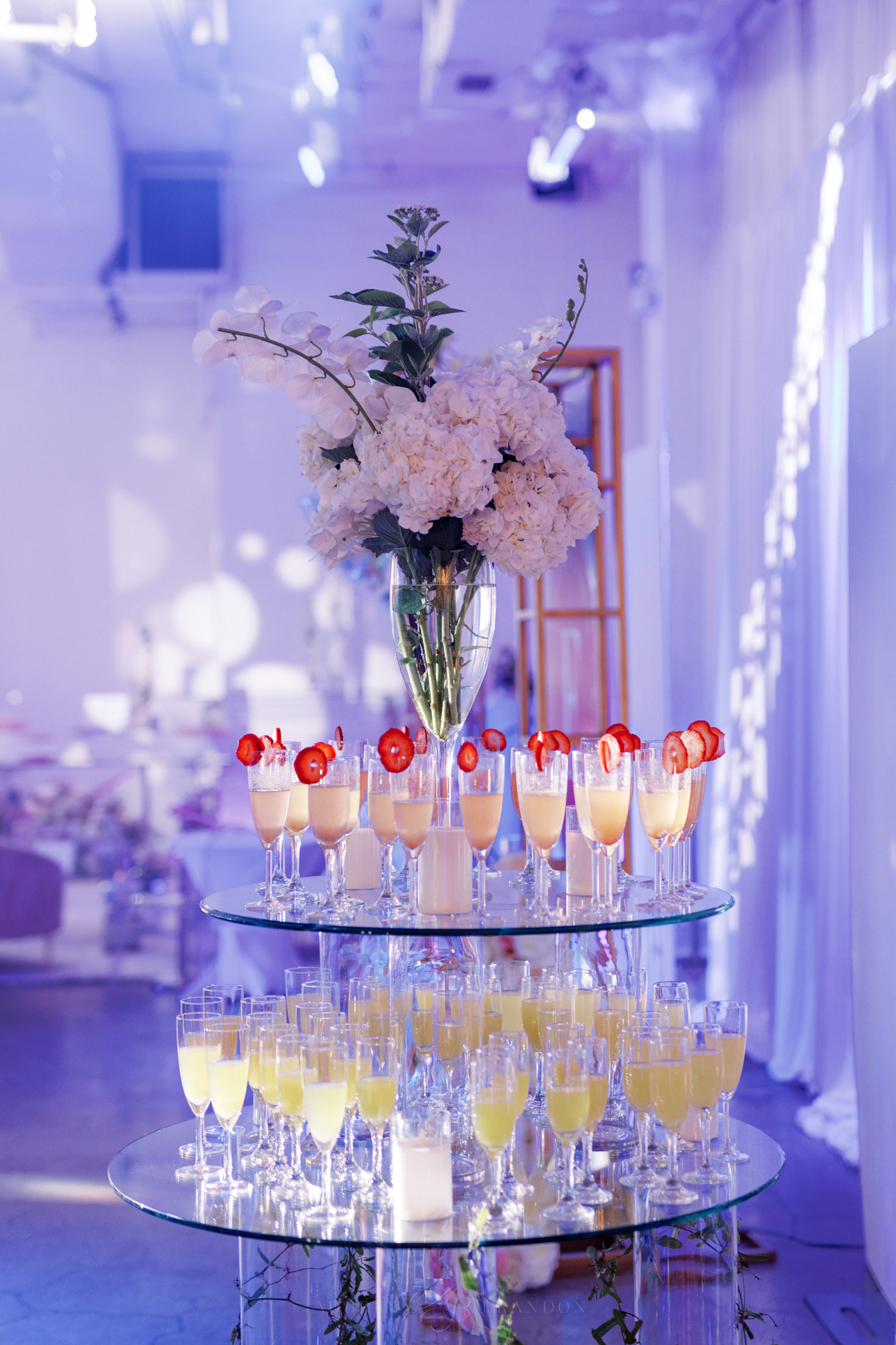 Ignite Your Imagination at Chez Planner Showcase Event