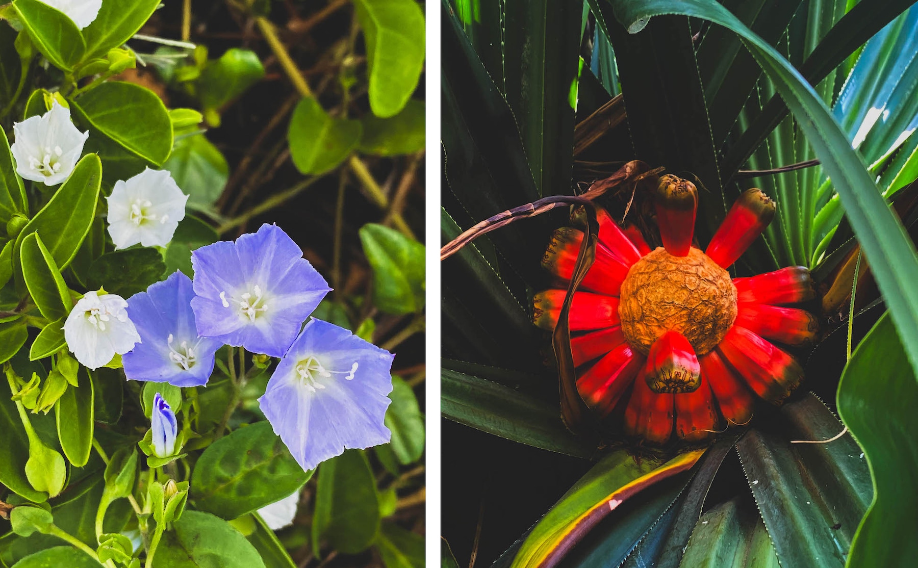 Turtle Bay Resort: Discover the Pristine Beauty of O'ahu