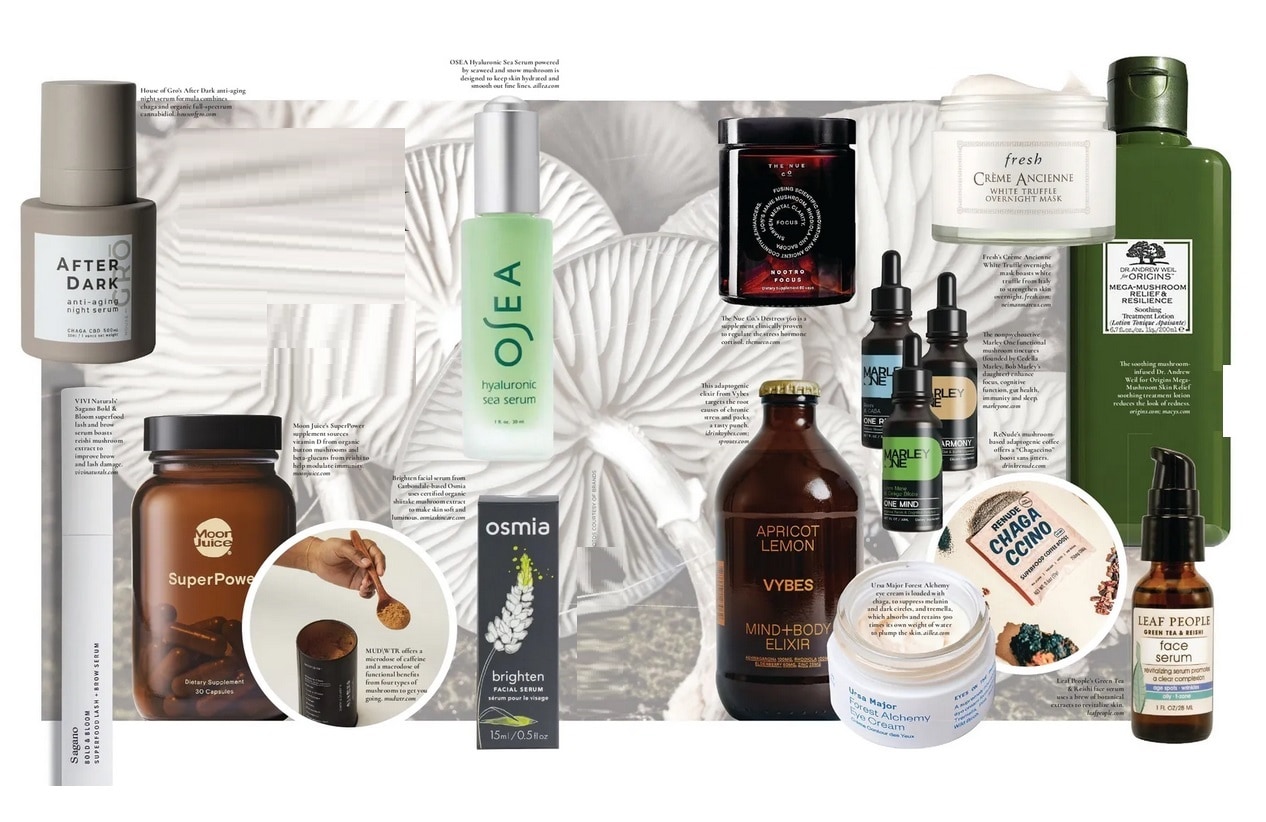 Functional Fungi: Boost Your Skincare & Wellness Routine