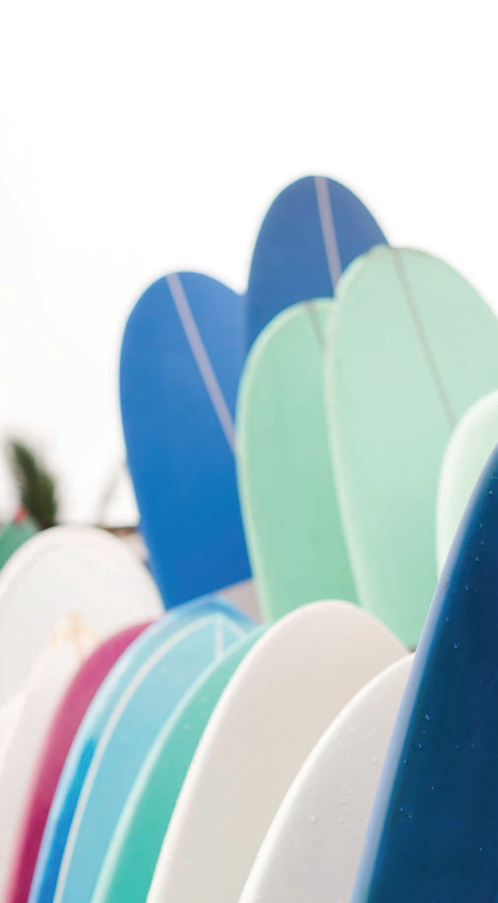 Join OC Surf Camp in the Hamptons for Unforgettable Summer Waves