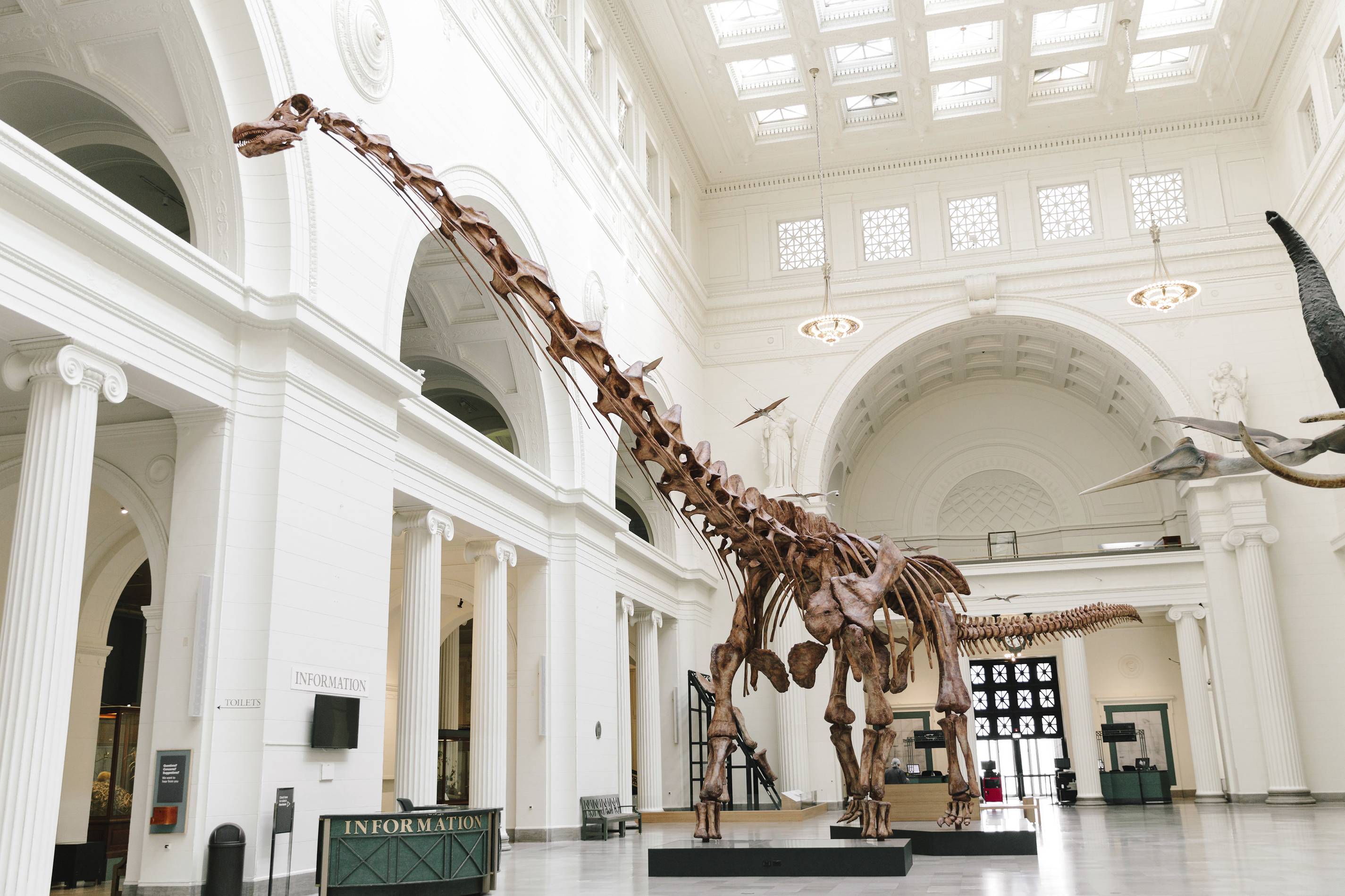 Explore Chicago's South Loop: Top 15 Must-Experience Spots