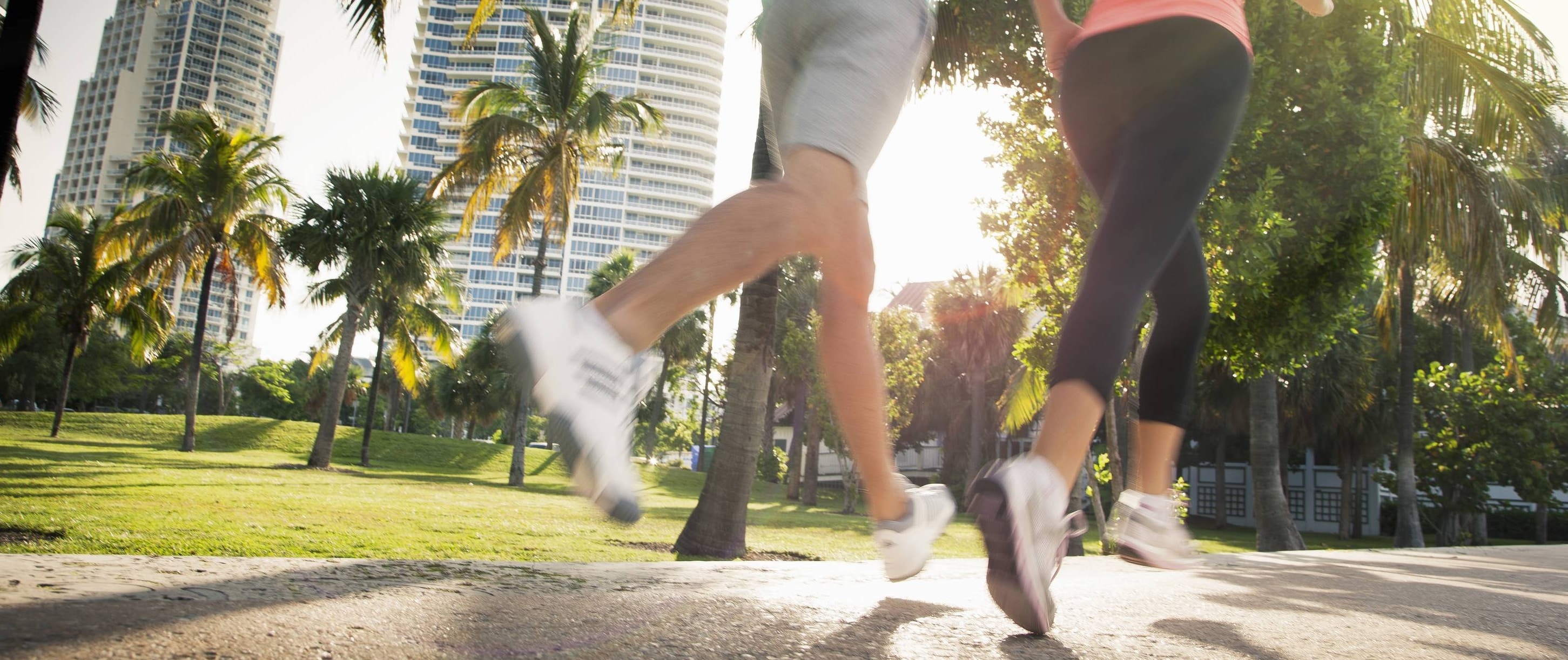 Best Running Trails in Miami: Scenic Routes to Explore