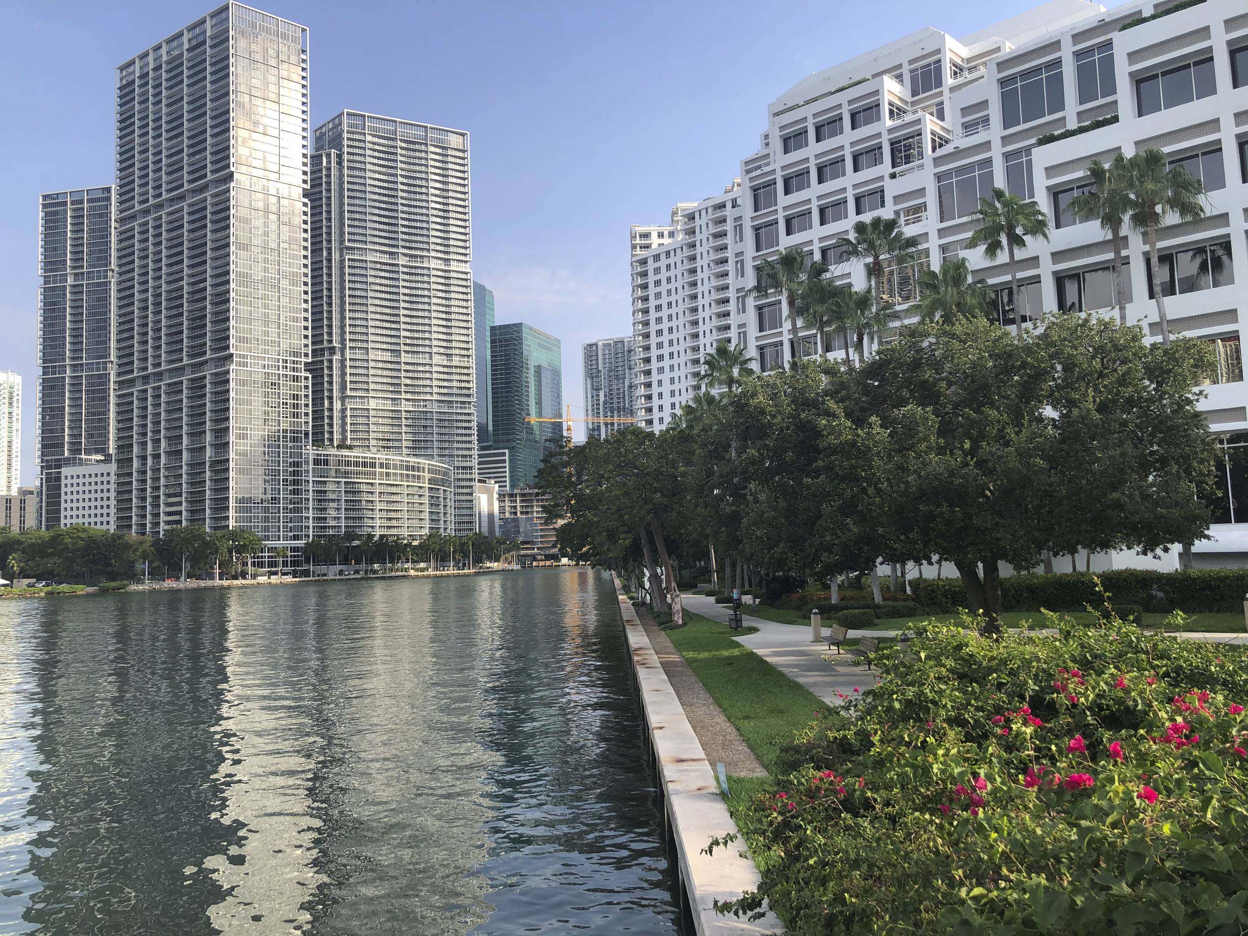 Best Running Trails in Miami: Scenic Routes to Explore