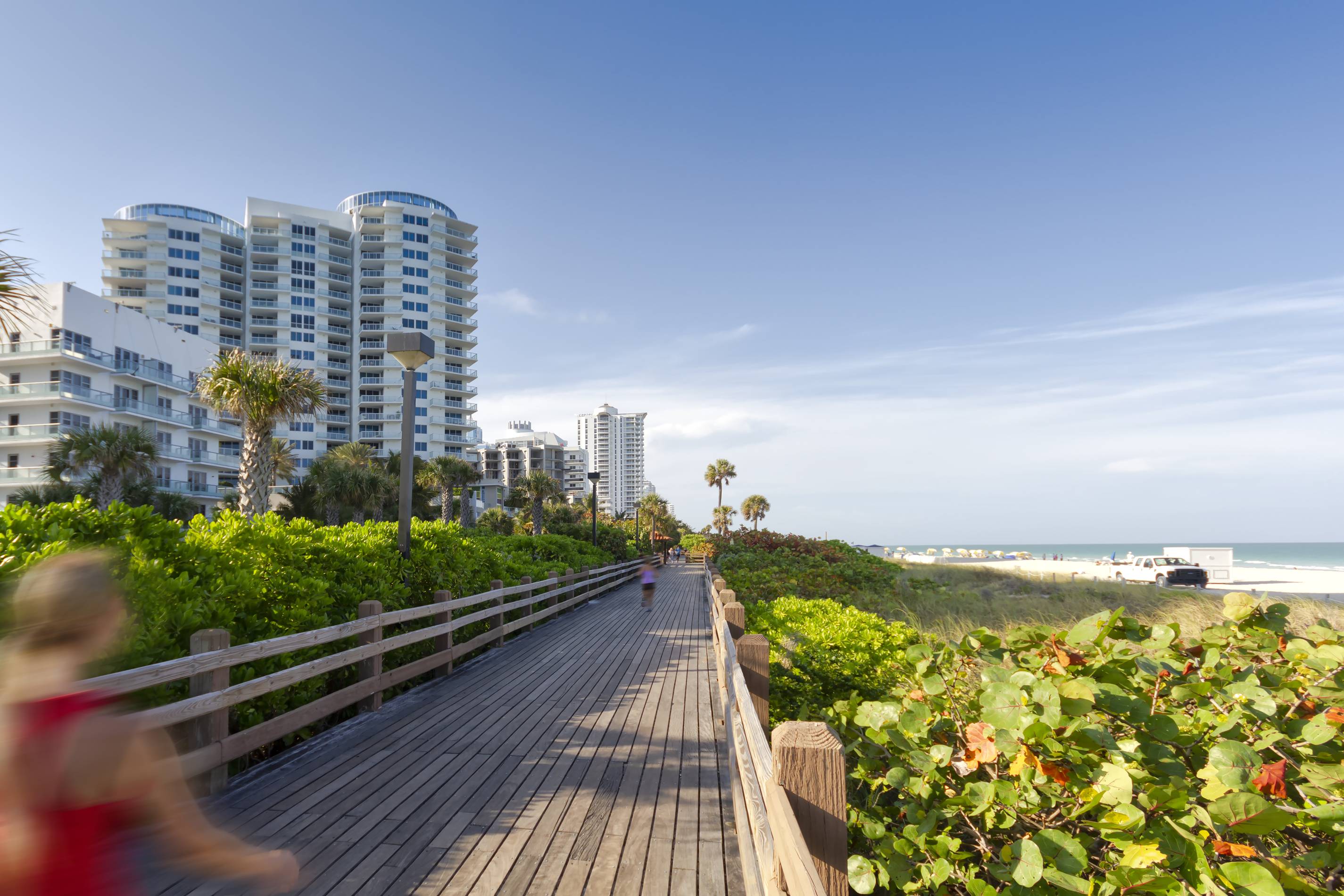 Best Running Trails in Miami: Scenic Routes to Explore