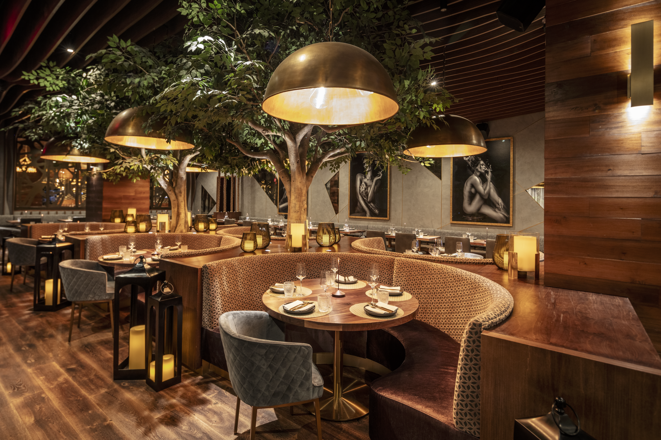 Toca Madera: Houston's Must-Visit Mexican Steakhouse