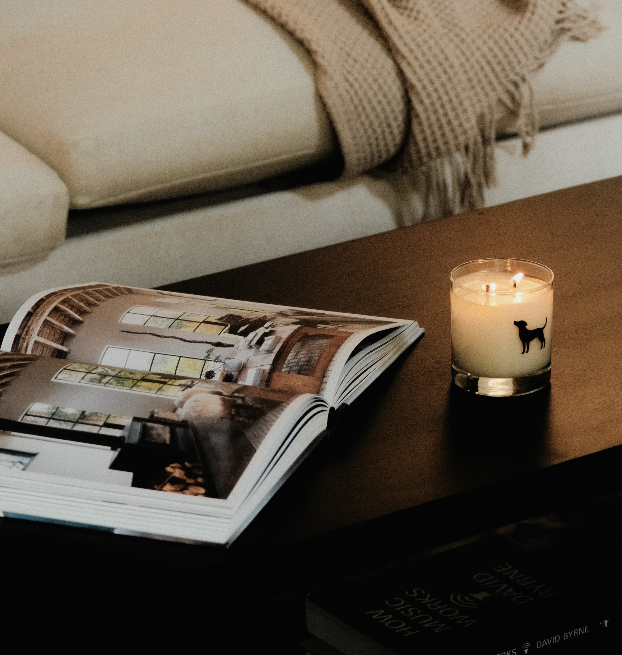 Bark Ranger Launch: Limited Edition Pet Care Collection