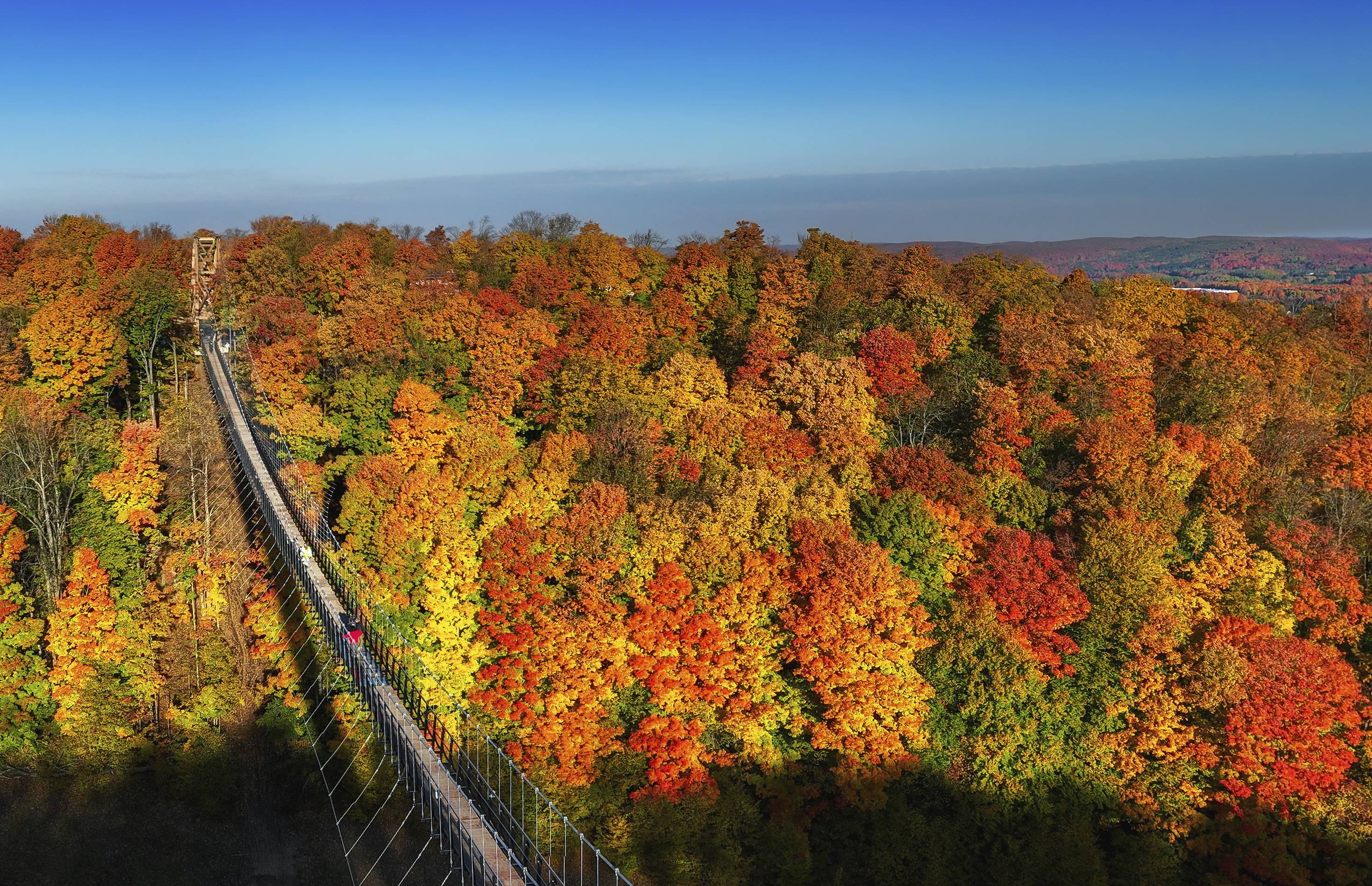 Top 5 Spots for Stunning Fall Foliage Near Chicago