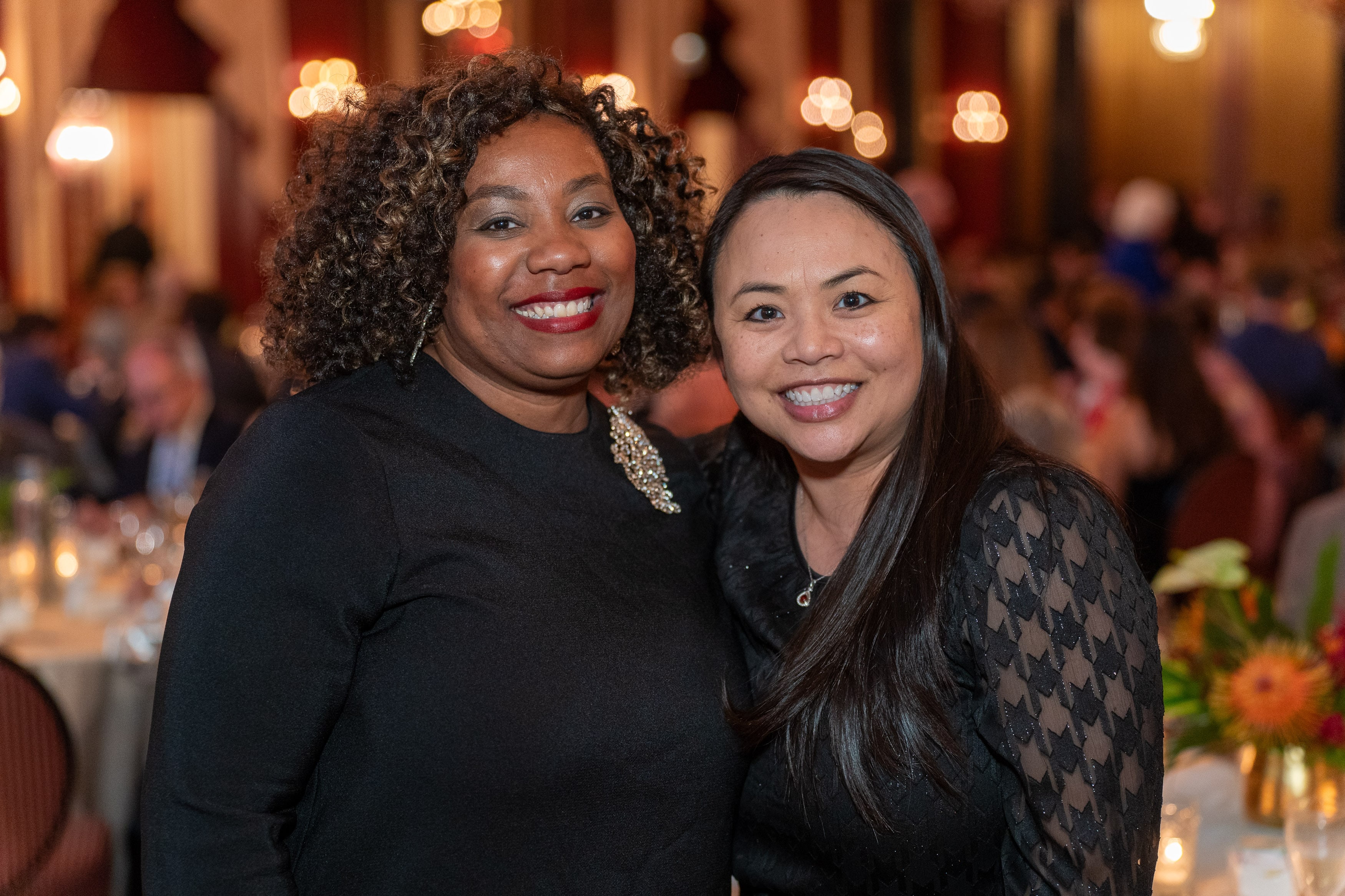 Auditorium Theatre Gala Raises $250K at Palmer House