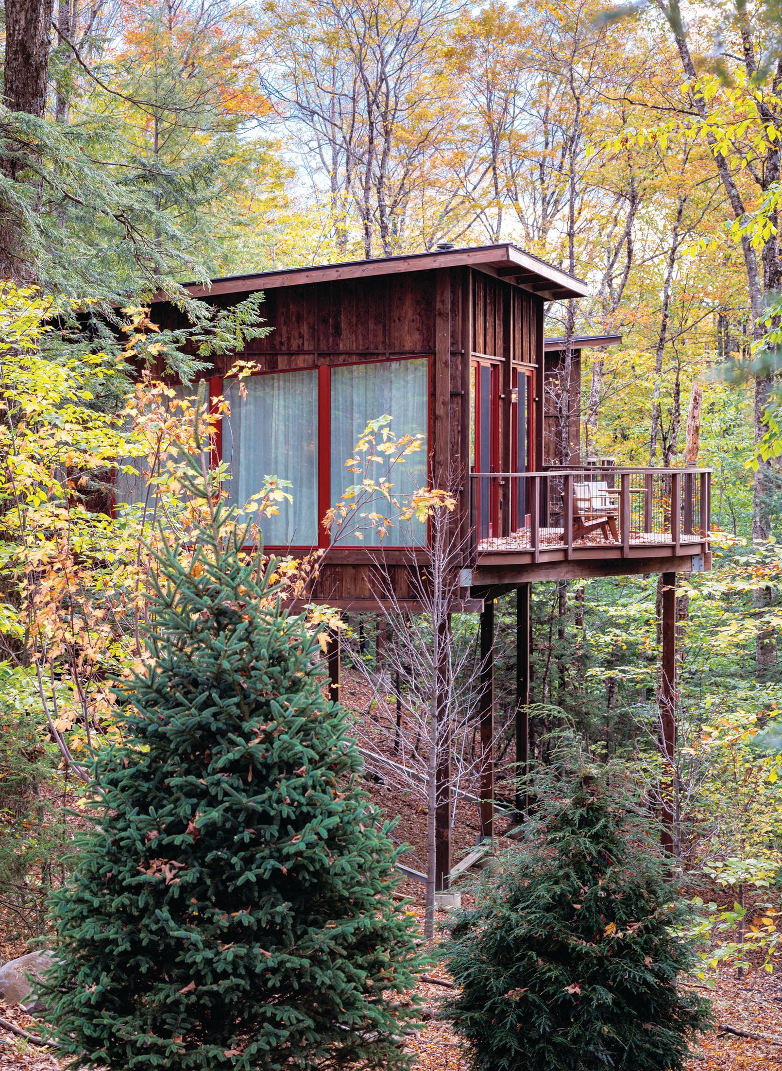 Discover Vermont's Dreamy Treehouses