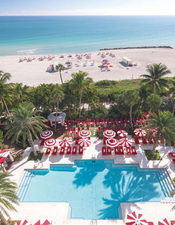 Discover Miami Beach: Top Restaurants, Hotels & Culture