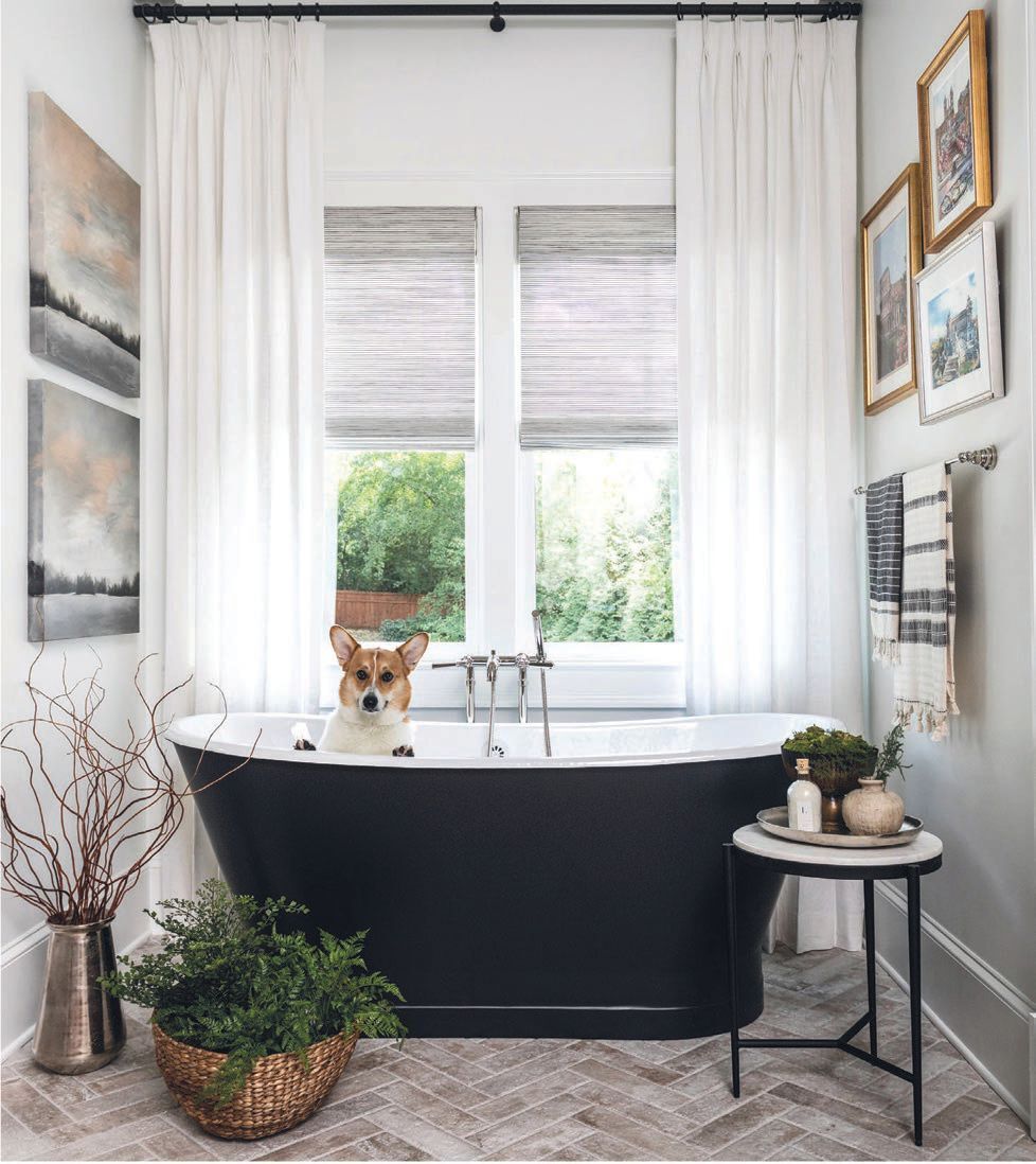 Atlanta's Latest Design Trends: Showrooms & Innovations