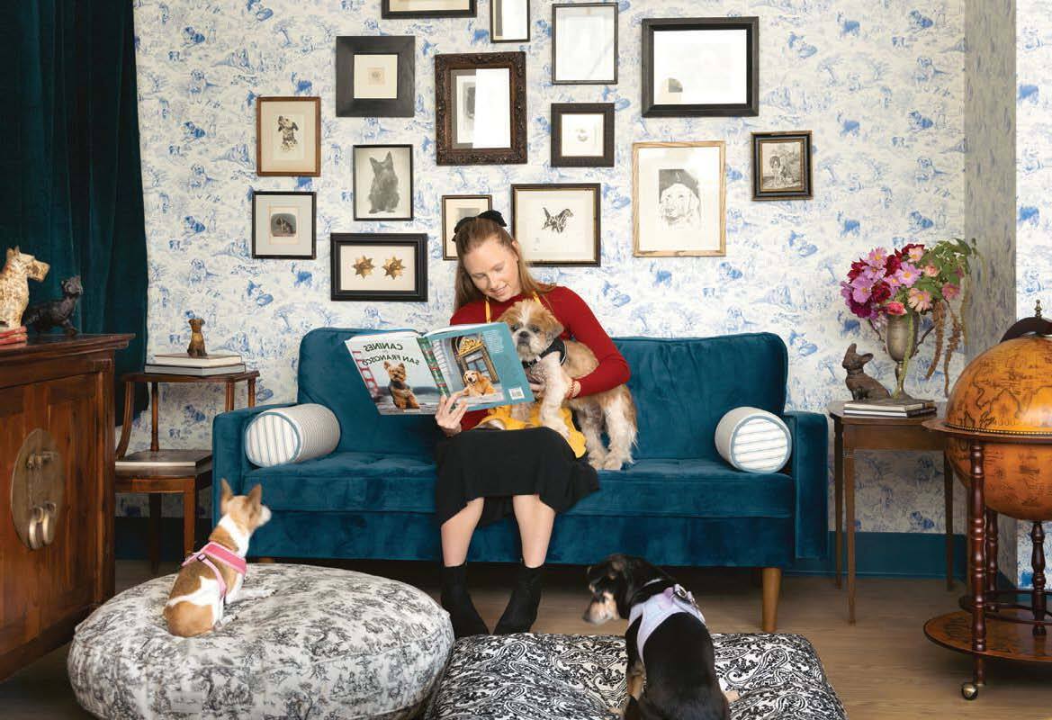 Muttville's Stunning New Space: A Haven for Senior Dogs