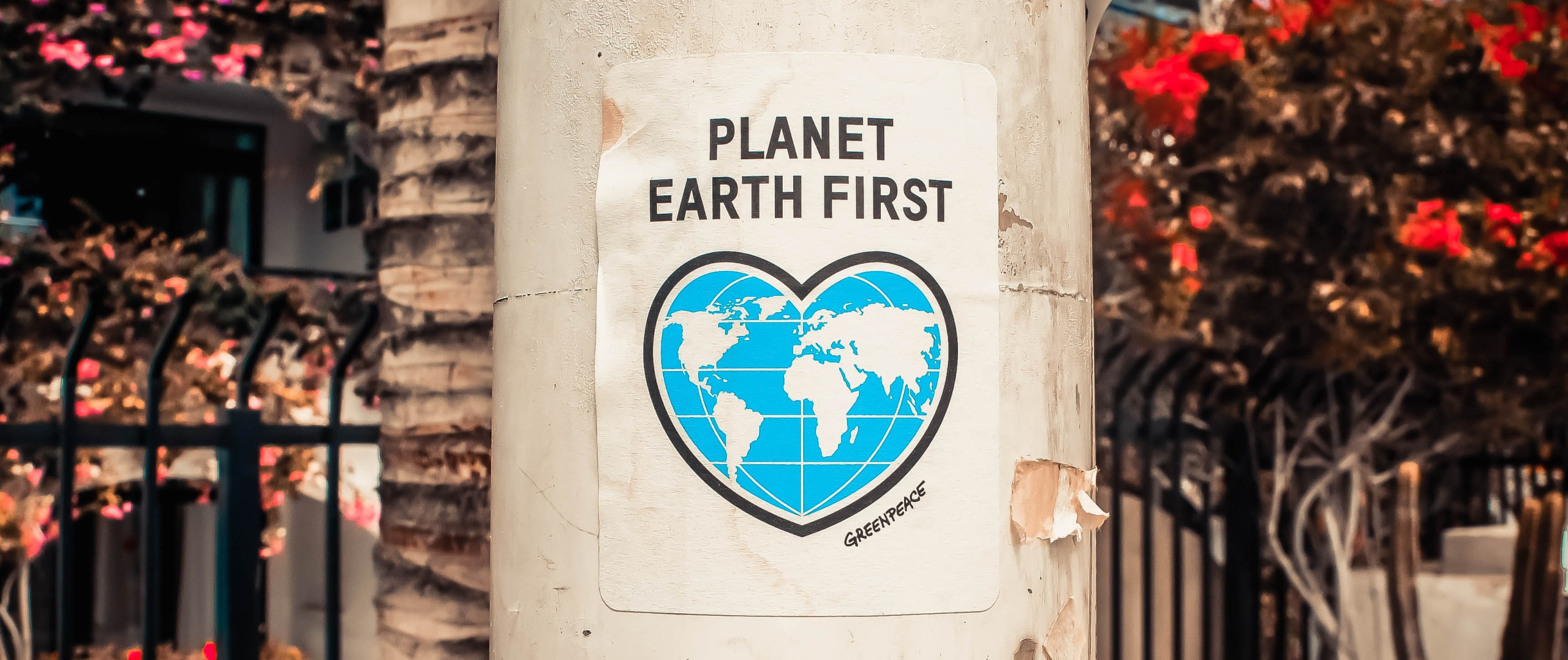 10 Eco-Friendly Ways to Save Our Planet This Earth Day