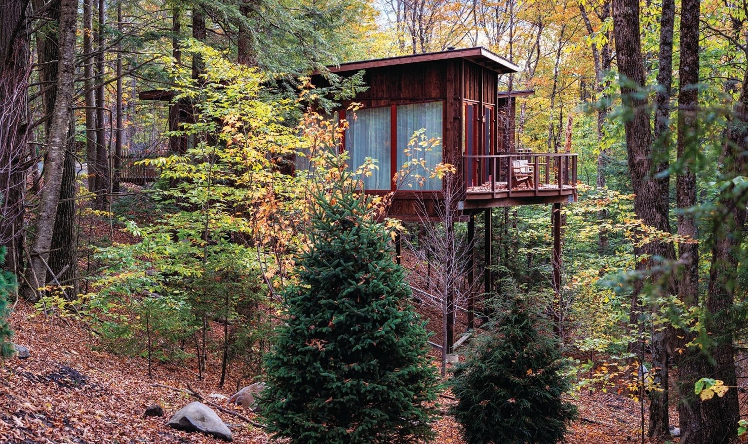 Luxurious Treehouse Getaways in New England